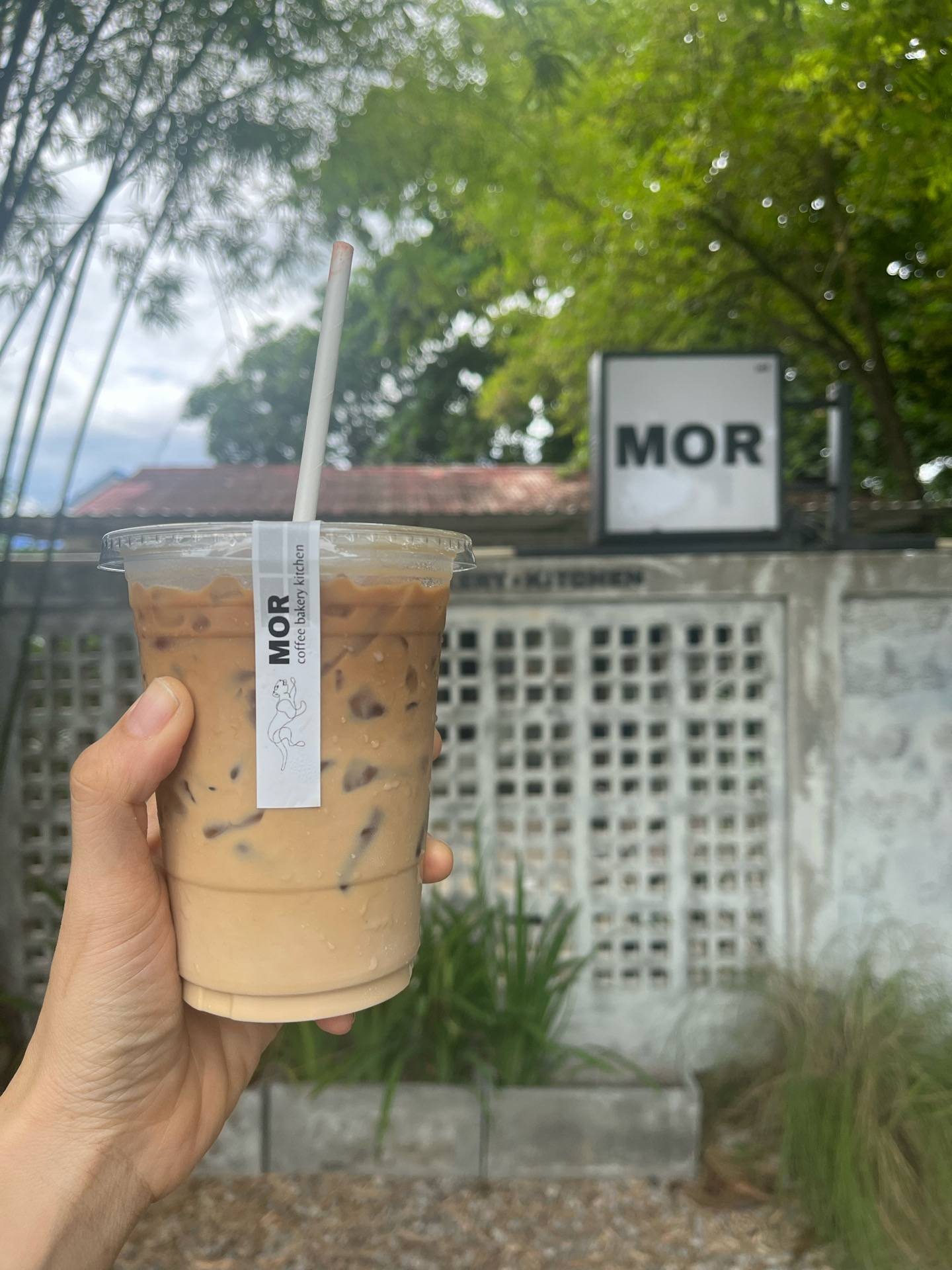 รีวิว MOR coffee • bakery • kitchen - คาเฟ่ลับณหุบกะพง
