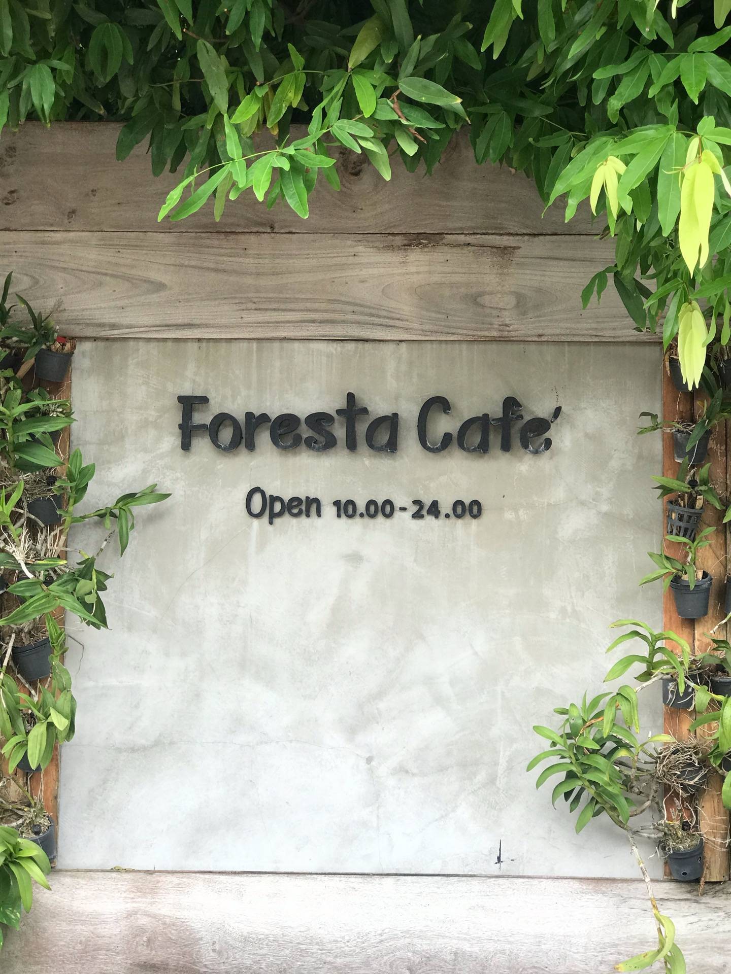 รูป FORESTA CAFE ดอนเมือง - Wongnai