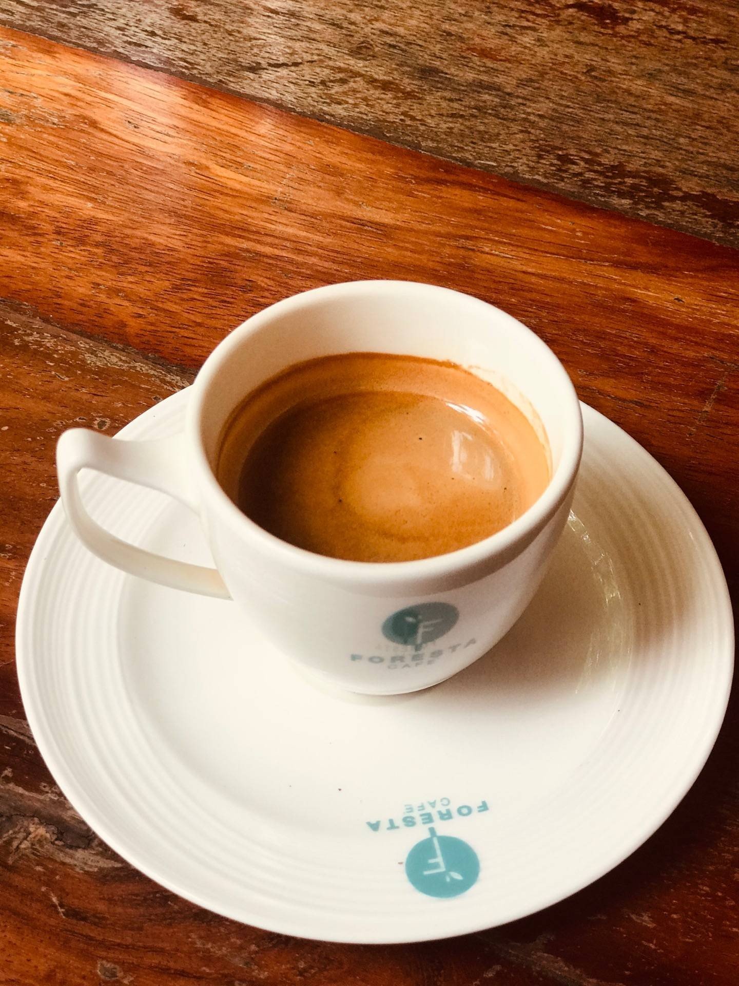 รีวิว FORESTA CAFE ดอนเมือง - จิบกาแฟ แลป่า - Wongnai