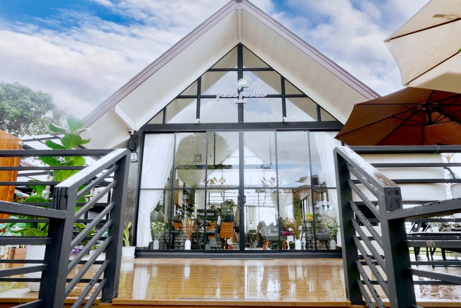 รูป ฟีล ฟิลด์ feel field