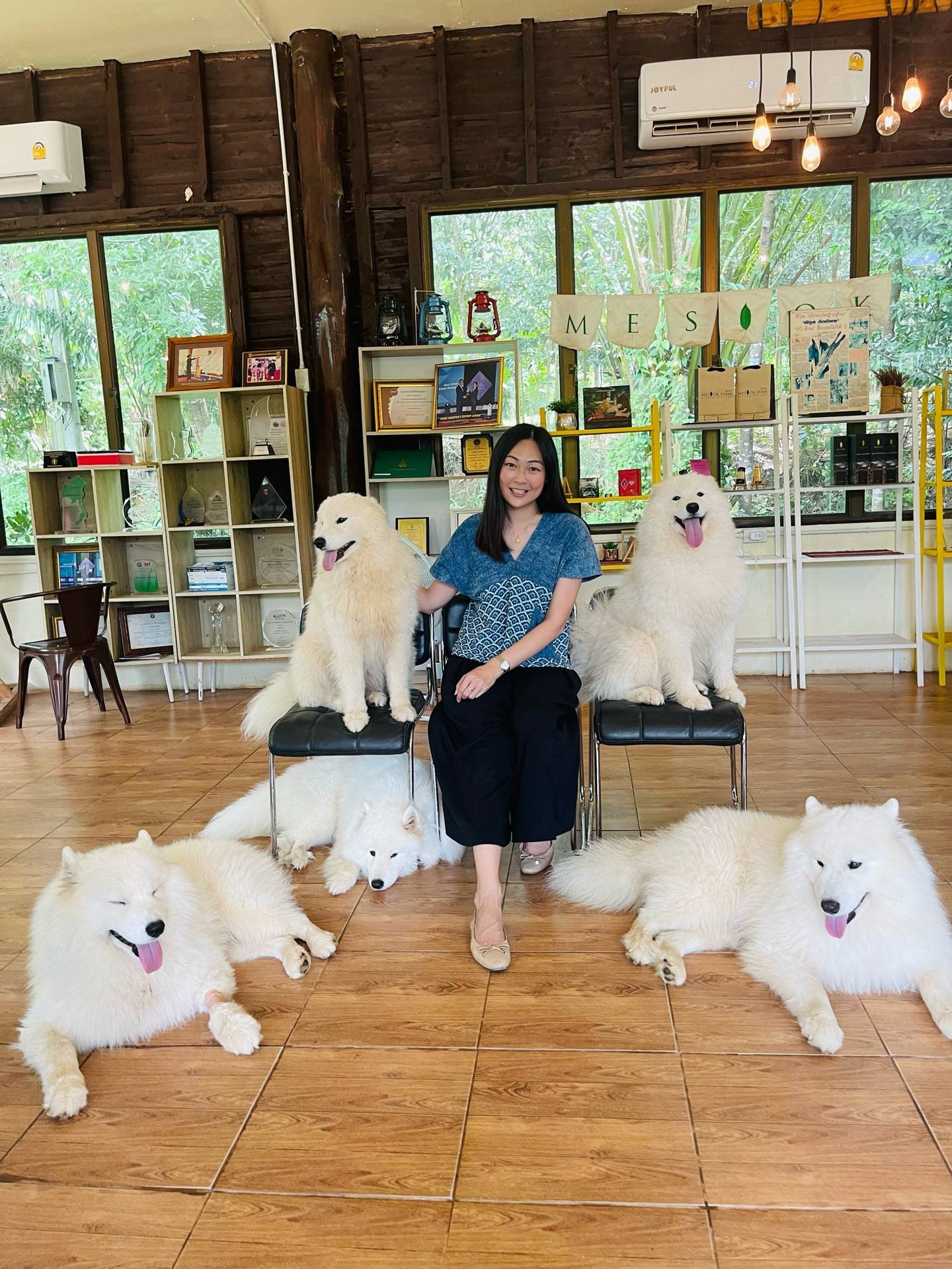 รูป Mesook Farm (มีสุข ฟาร์ม)