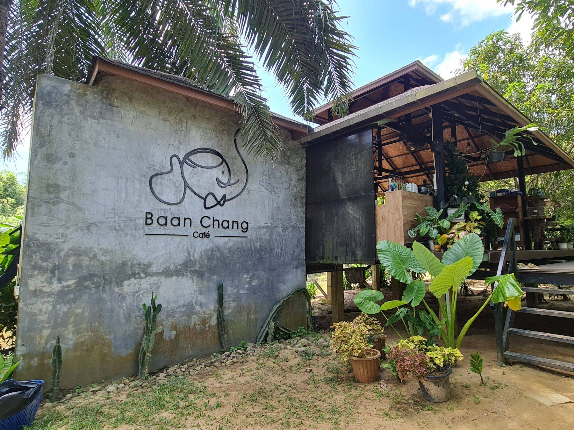 รีวิว Baan Chang Cafe - ปางช้างกับคาเฟ่เล็กๆ