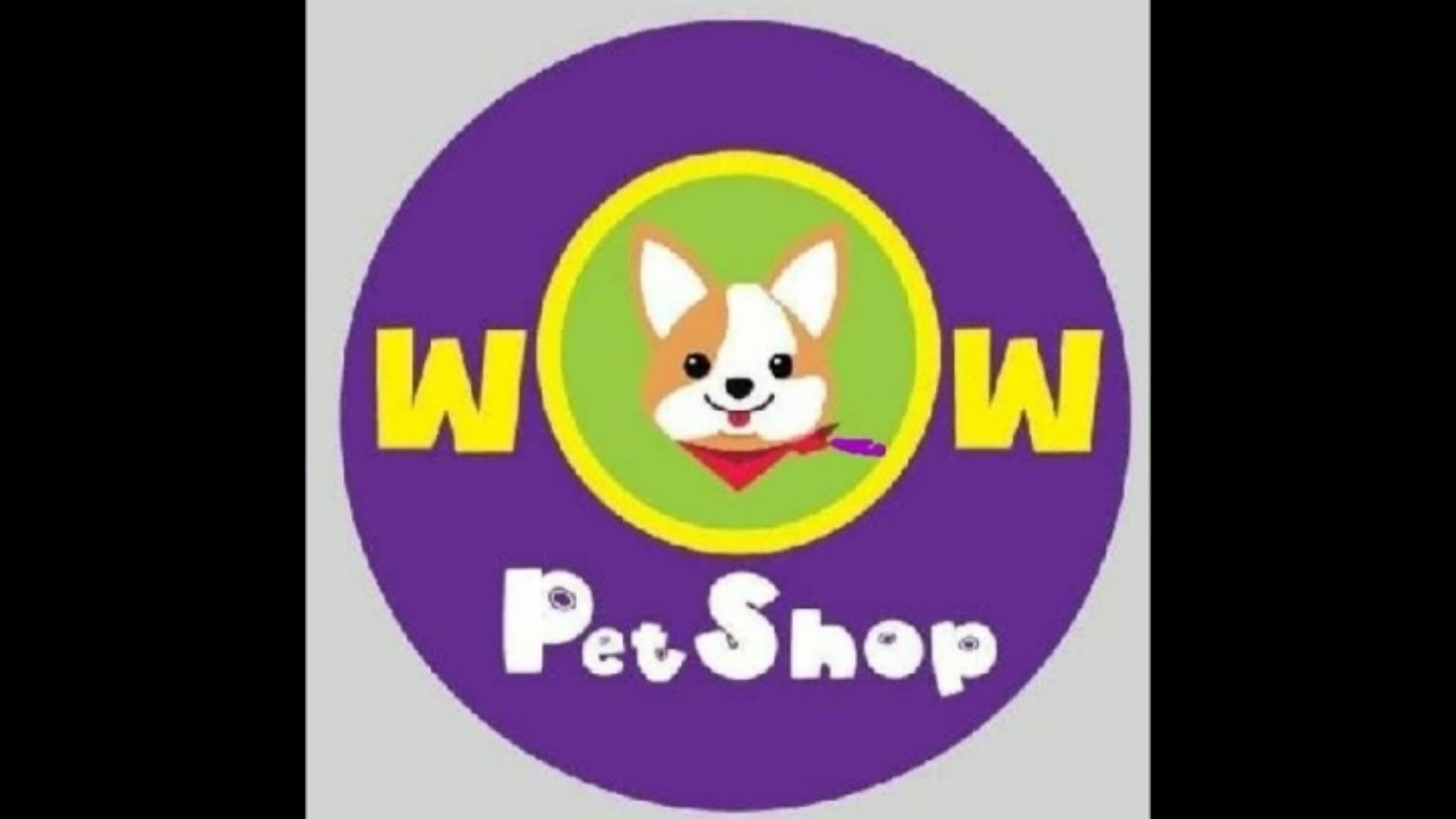 ร้าน WoW PetShop 2 (ว๊าวเพ็ทช็อป 2) ลาดพร้าววังหิน 72