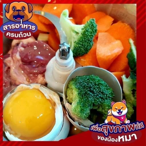 ร้าน Snow BARF ตลิ่งชัน | รีวิวร้านอาหาร