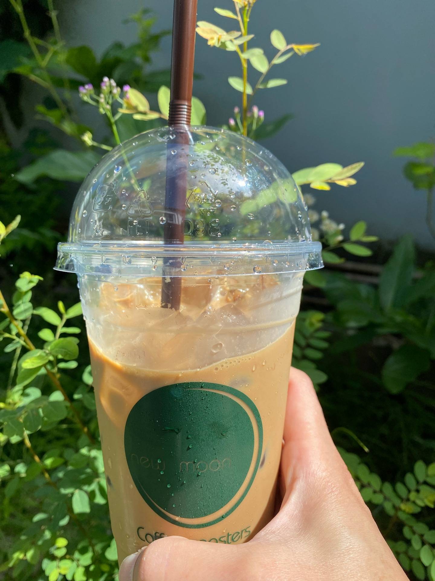รีวิว ร้านกาแฟ เมล็ดคั่วสดใหม่ New moons coffee tea thing - กาแฟอร่อย ...