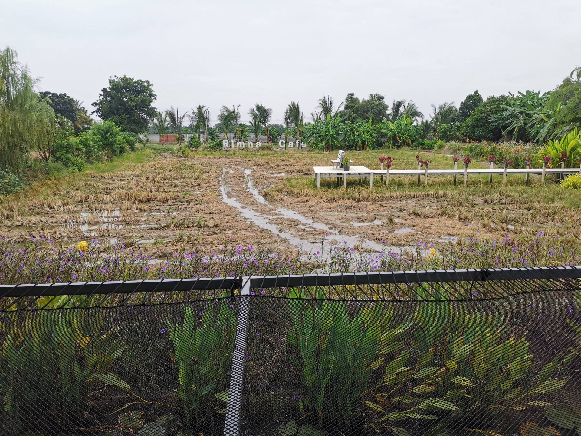 รีวิว Rimna Cafe ค่ายบางระจัน - คาเฟ่มีนา ในบางระจัน