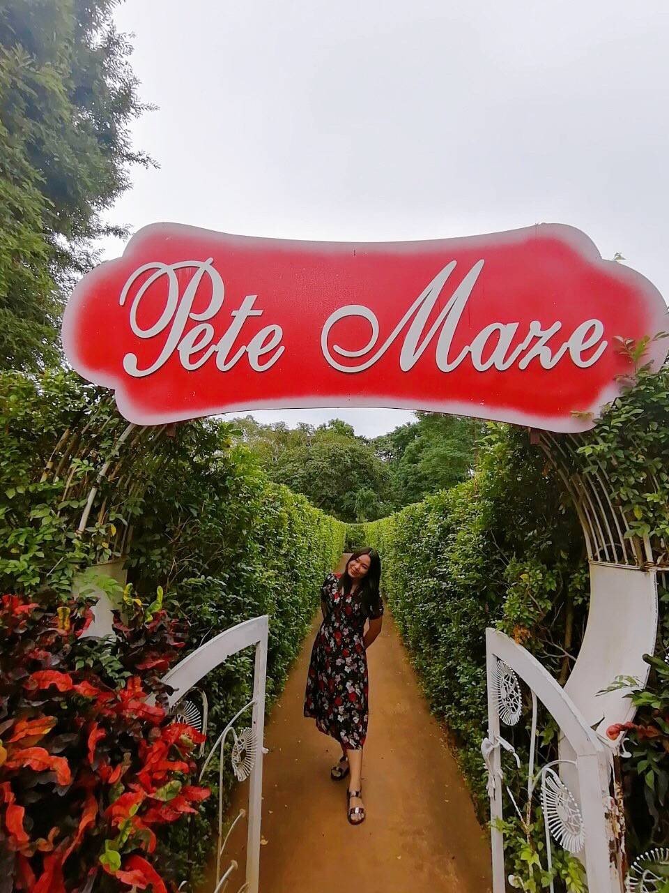 รูป Pete Maze - Wongnai