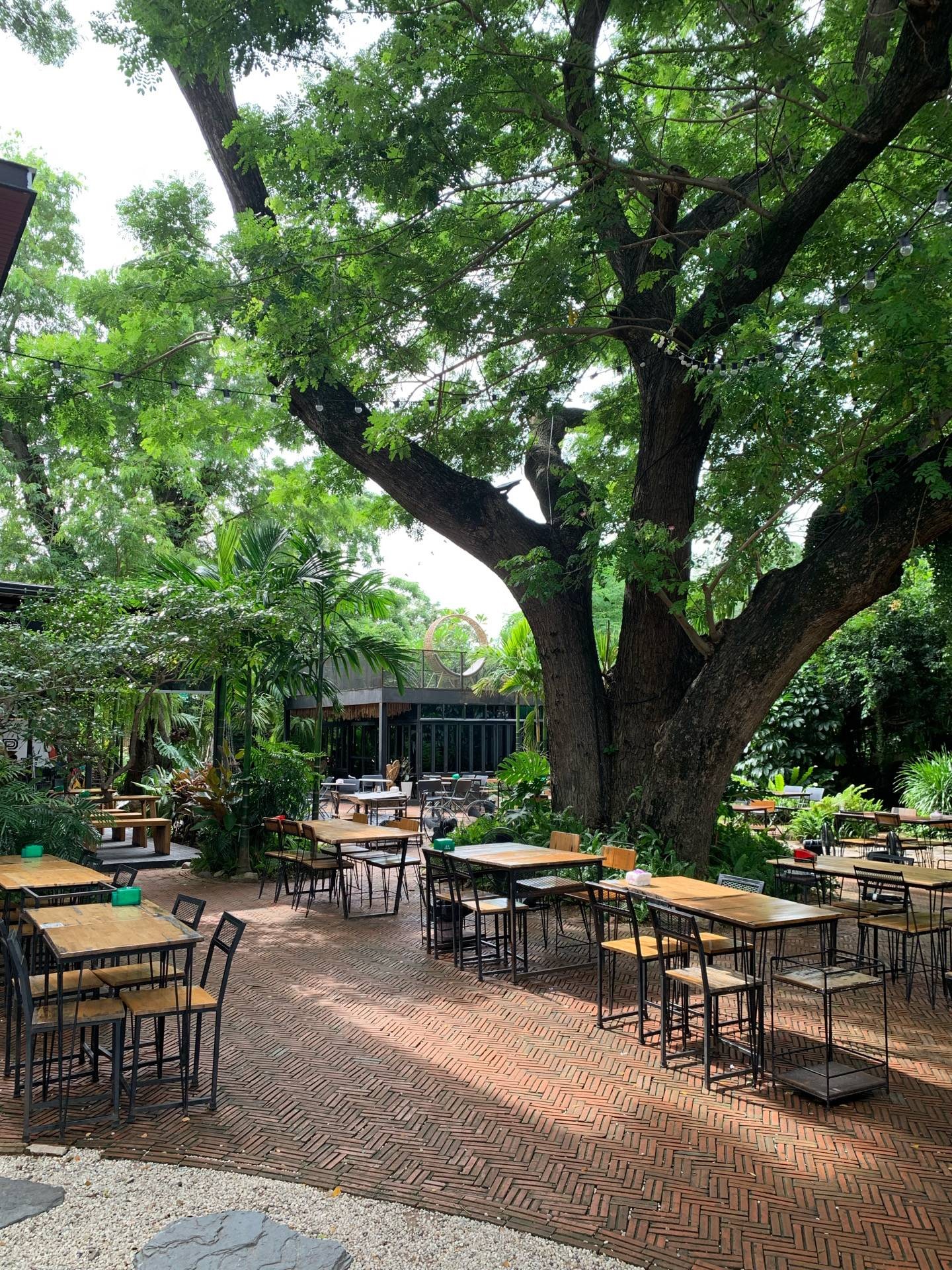 รูป WHIP CAFE Bangsaen - Wongnai