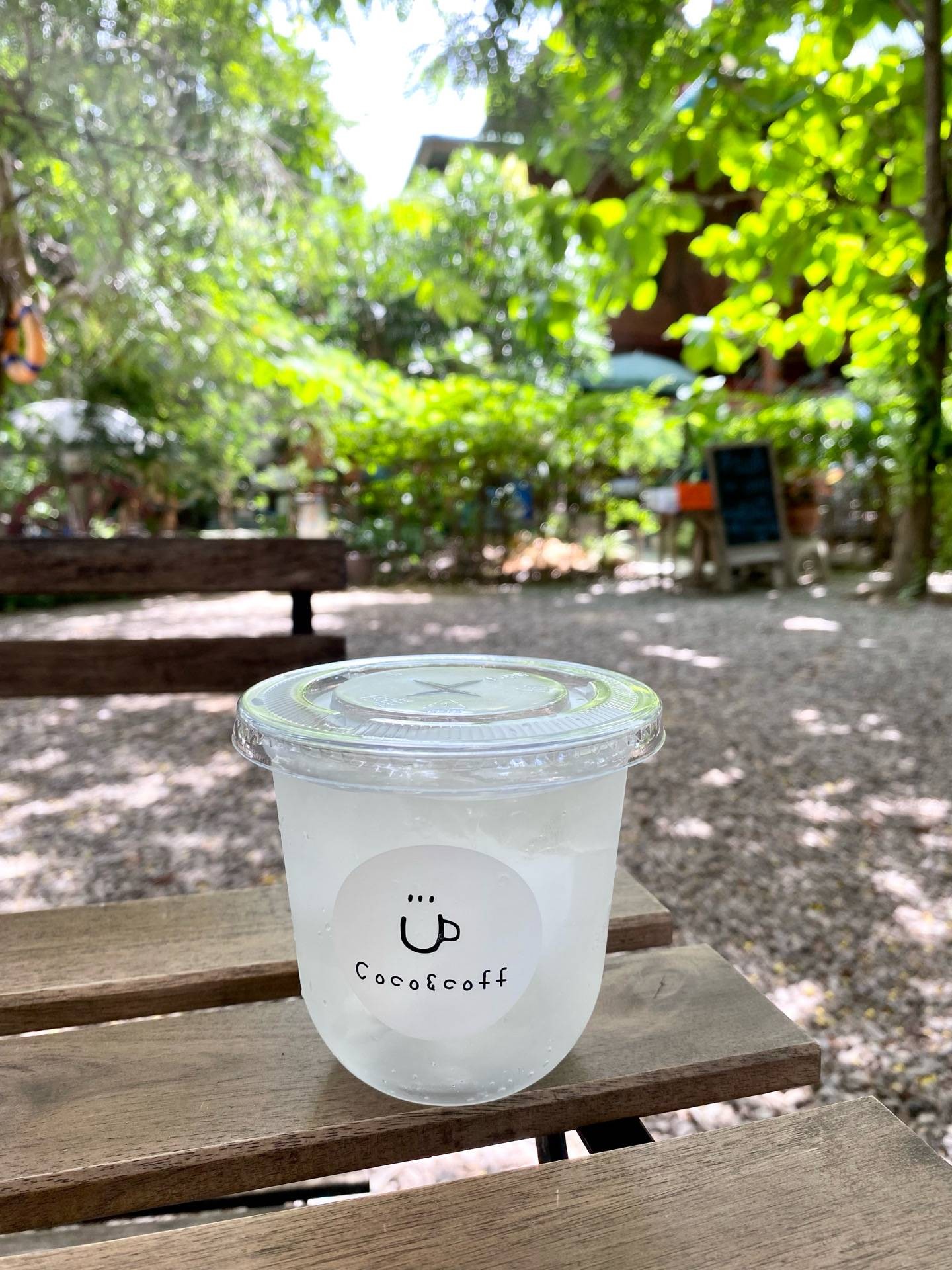 รีวิว Coco&coff - บรรยากาศสวนมะพร้าว - Wongnai