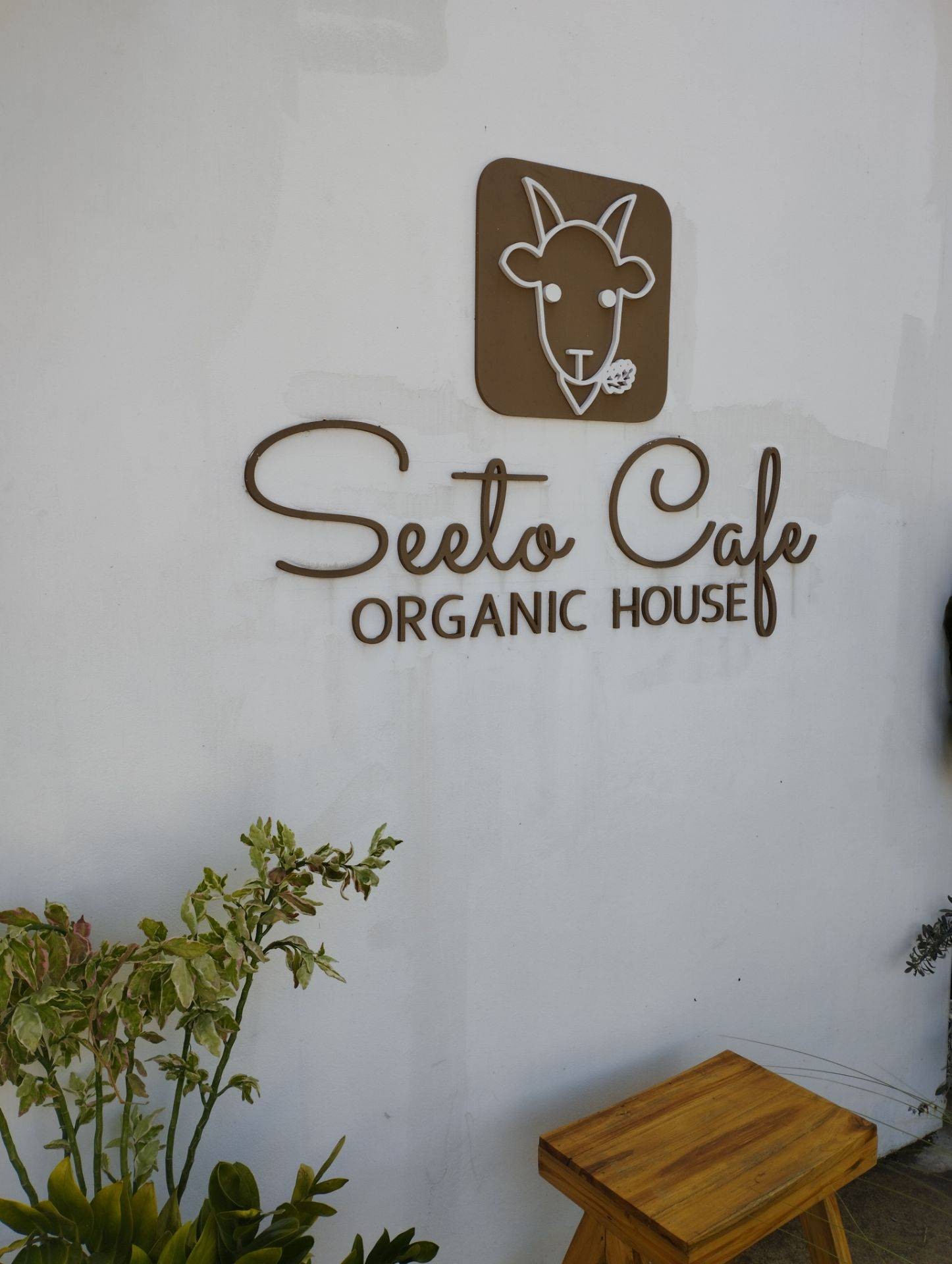 รีวิว Seeto Cafe - ไม่ลองแล้วจะรู้ได้ไง