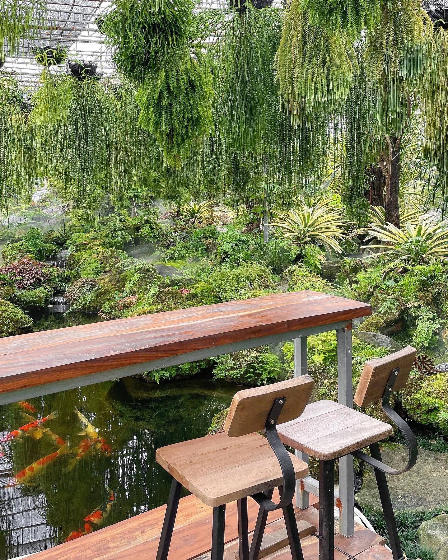 รูป Botanist Activity Space & Cafe - Wongnai