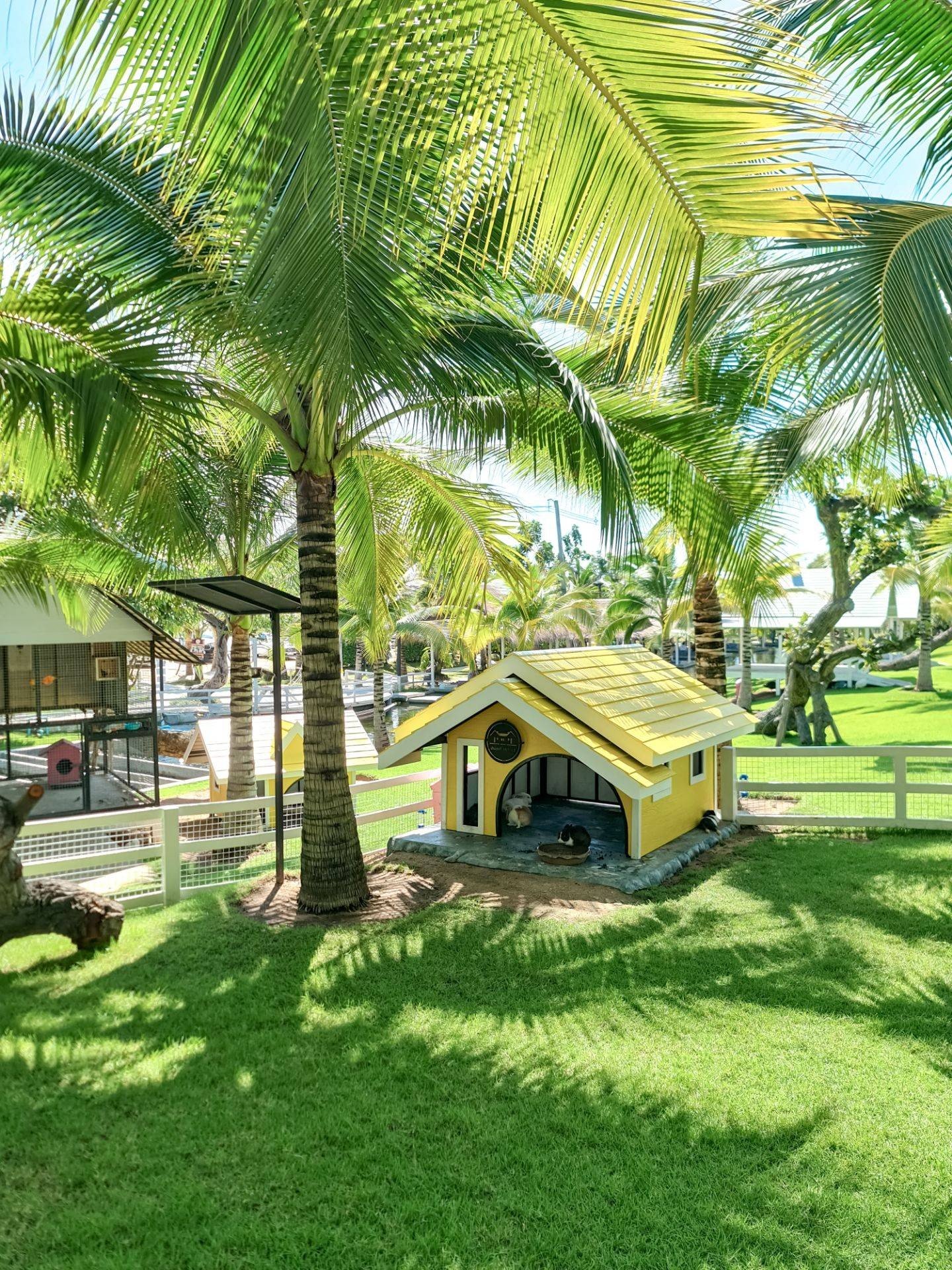 รูป ป้าบุญคาเฟ่ สาขา 4 - Wongnai