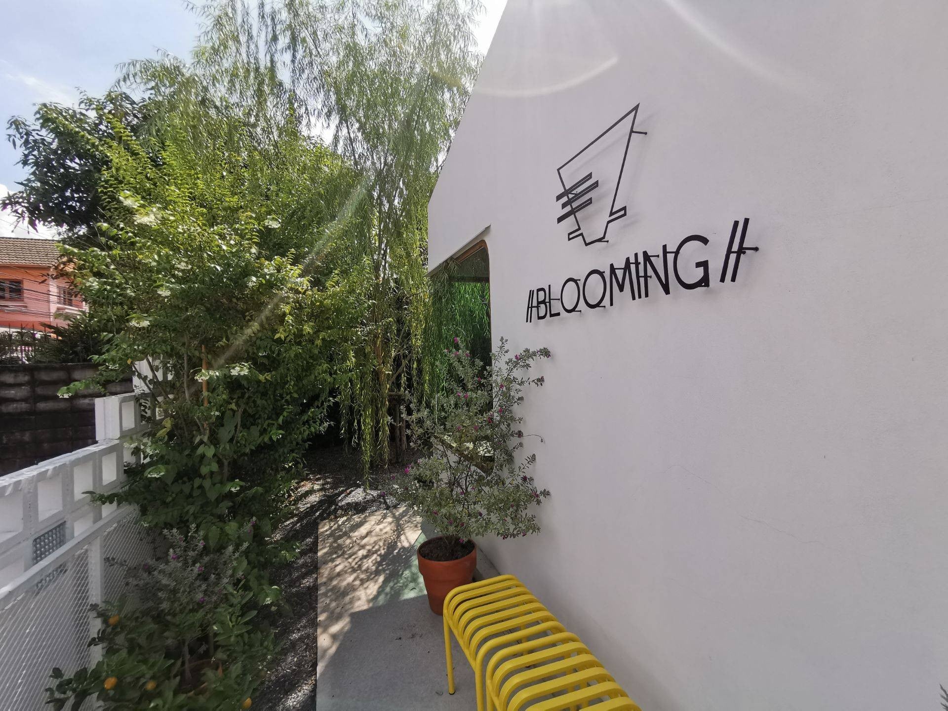 รีวิว Blooming Cafe - ร้านคาเฟ่น่ารัก ย่านสวนผัก - Wongnai
