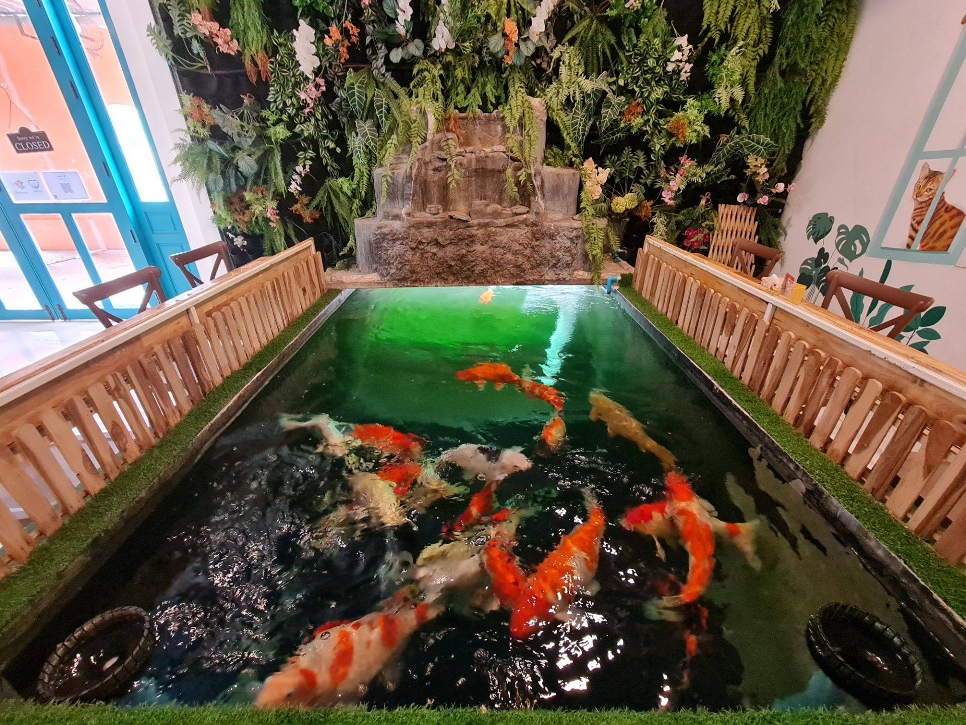 รูป The Pet Castle