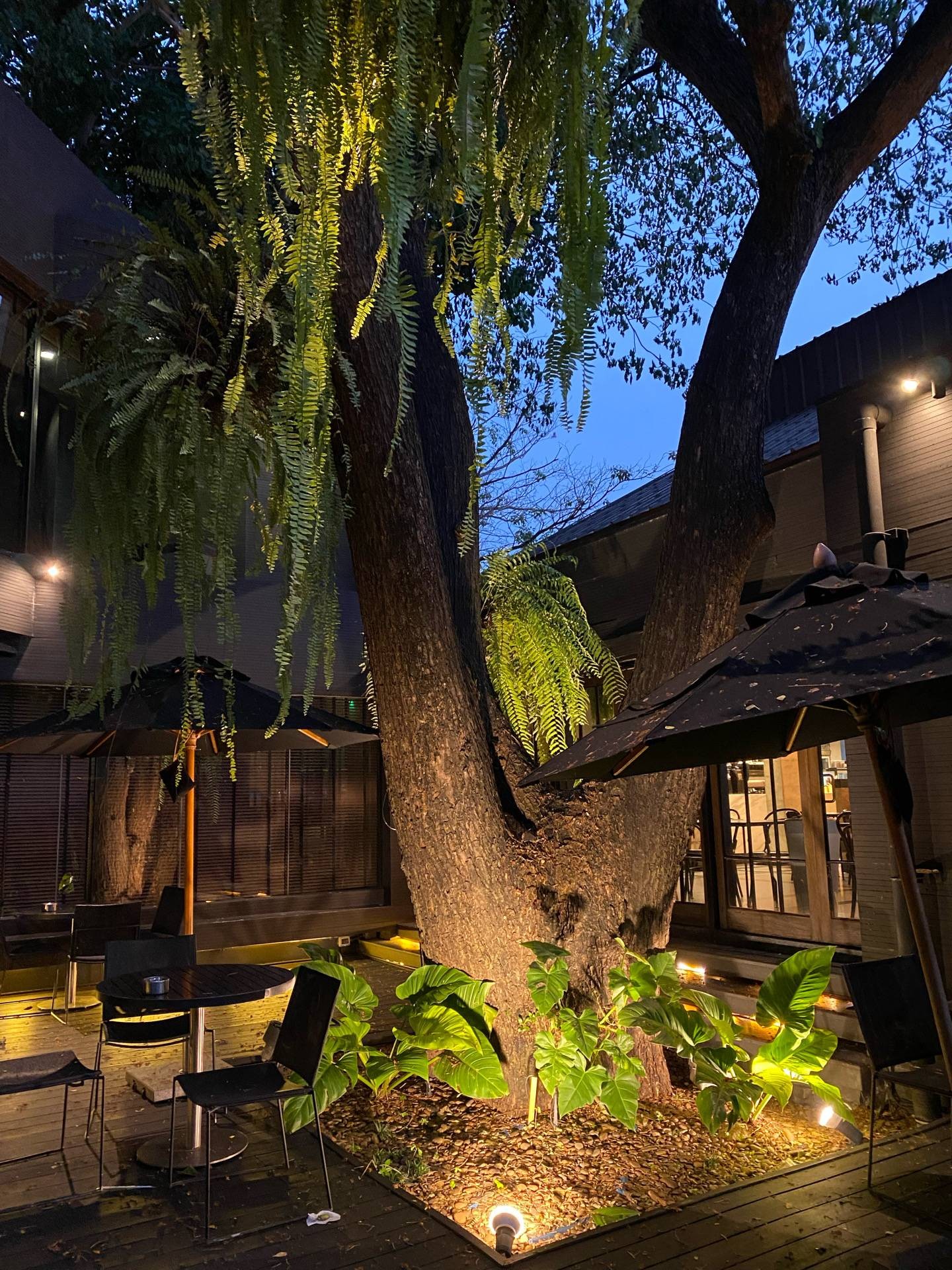 รูป The Hub Cafe and Eatery พระราม 9 - Wongnai