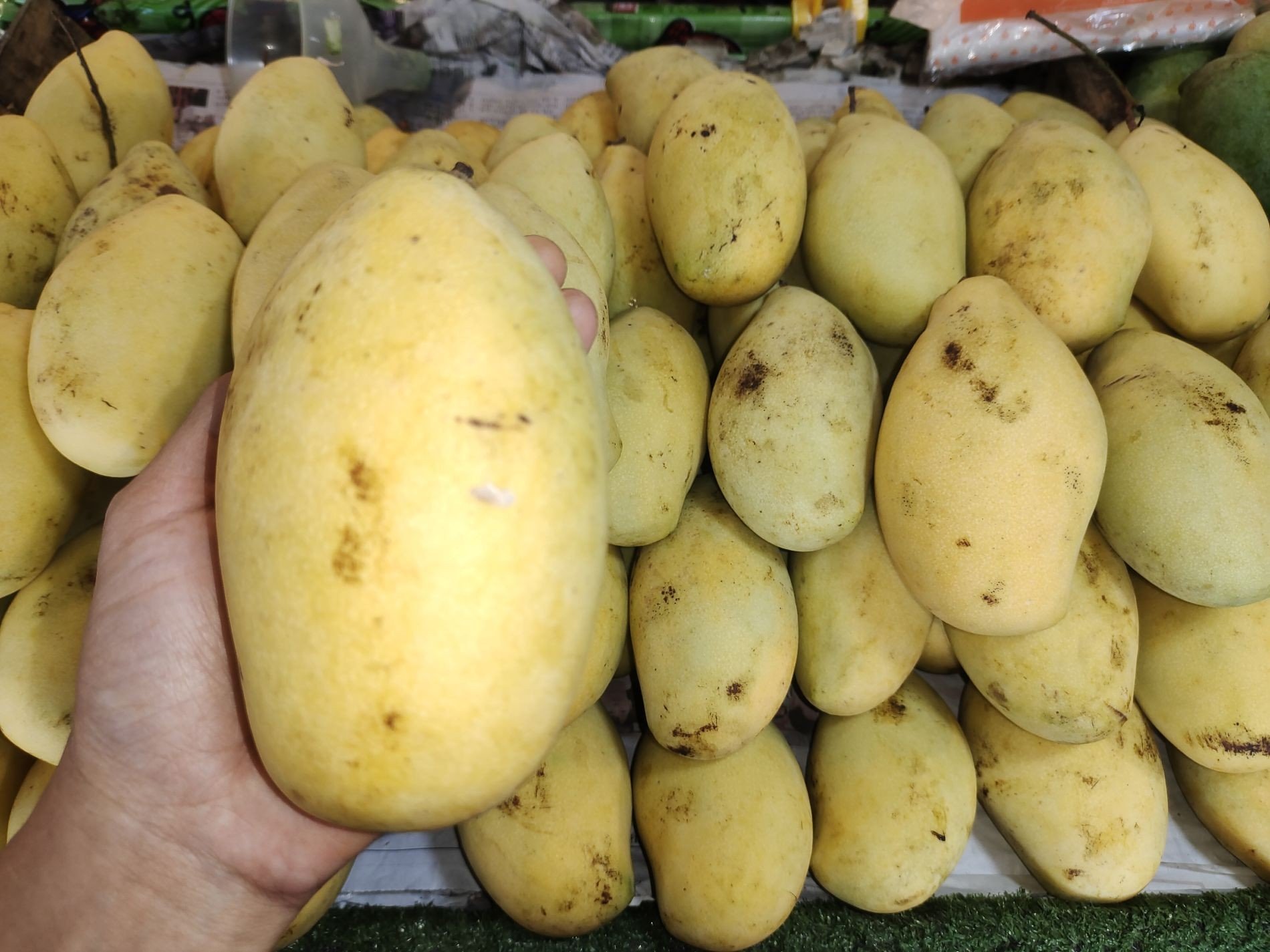 รูป บิ๊กบ๊วย มะม่วง-ฝรั่งแช่บ๊วย ผลไม้ดอง ผลไม้ตามฤดูกาล BIG BUAY