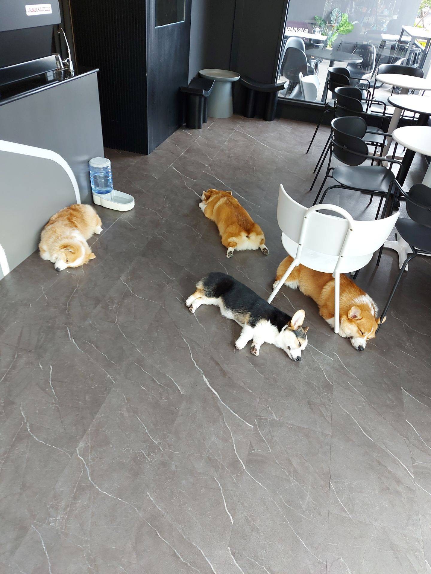 รูป Surf Space Cafe