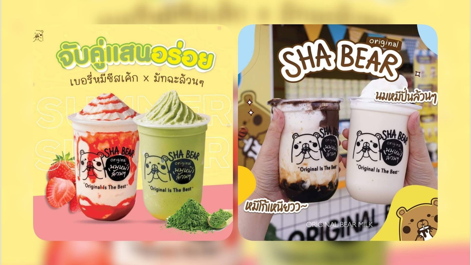 SHA BEAR ตลาดอัมพวา - สั่งอาหารเดลิเวอรี | Wongnai x LINE MAN
