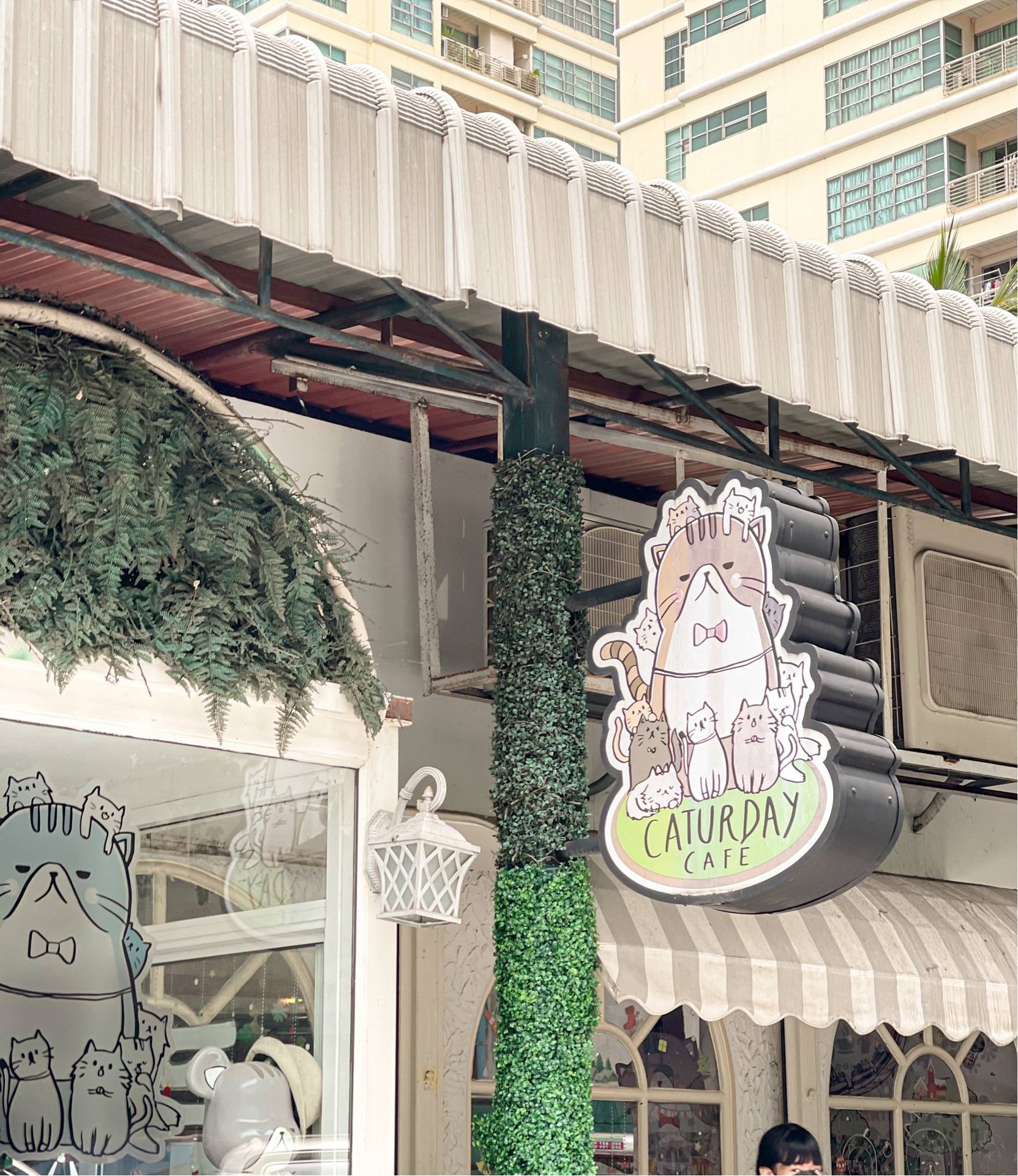 รูป Caturday cat cafe