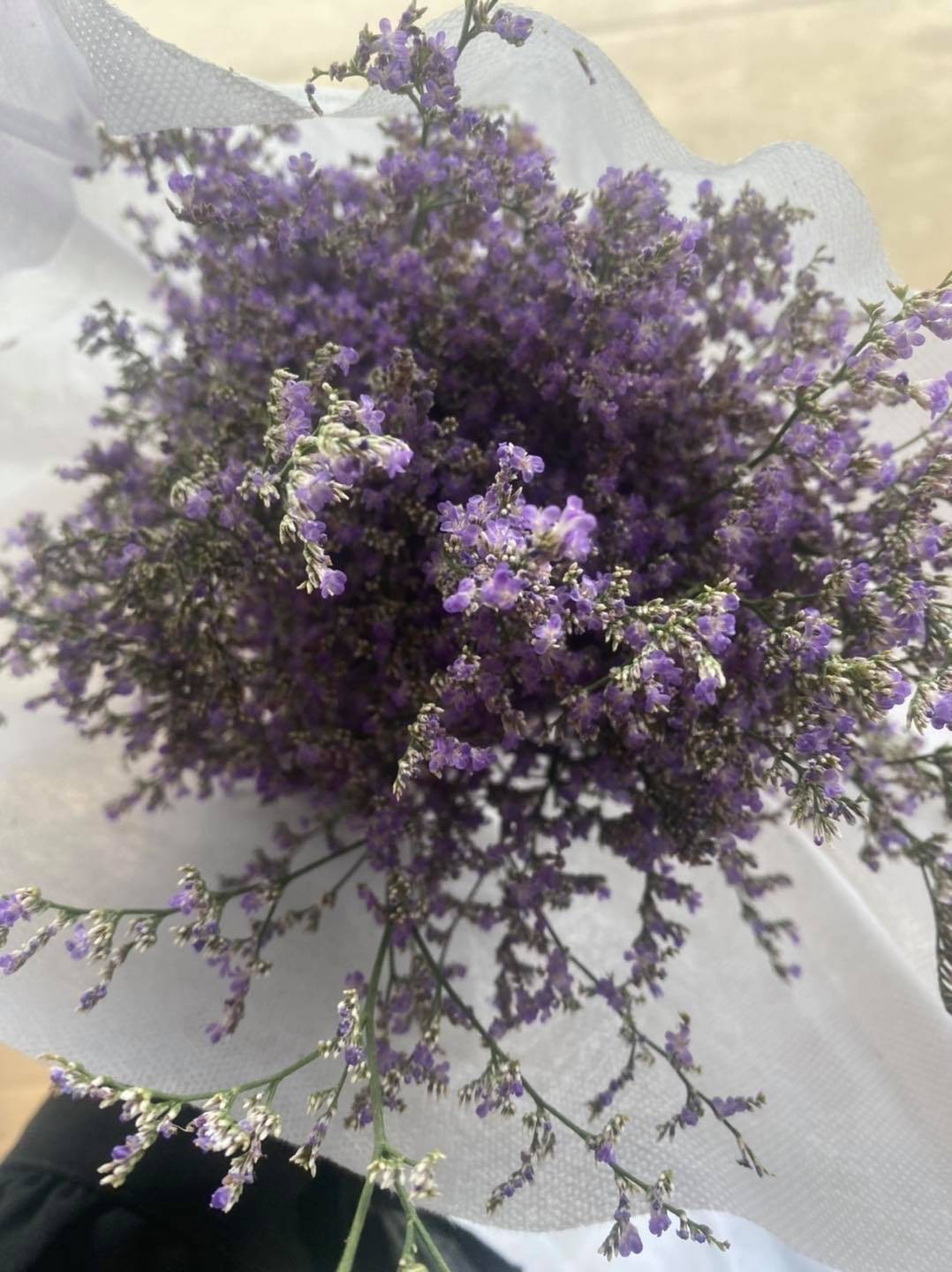 ร้าน Sereflower
