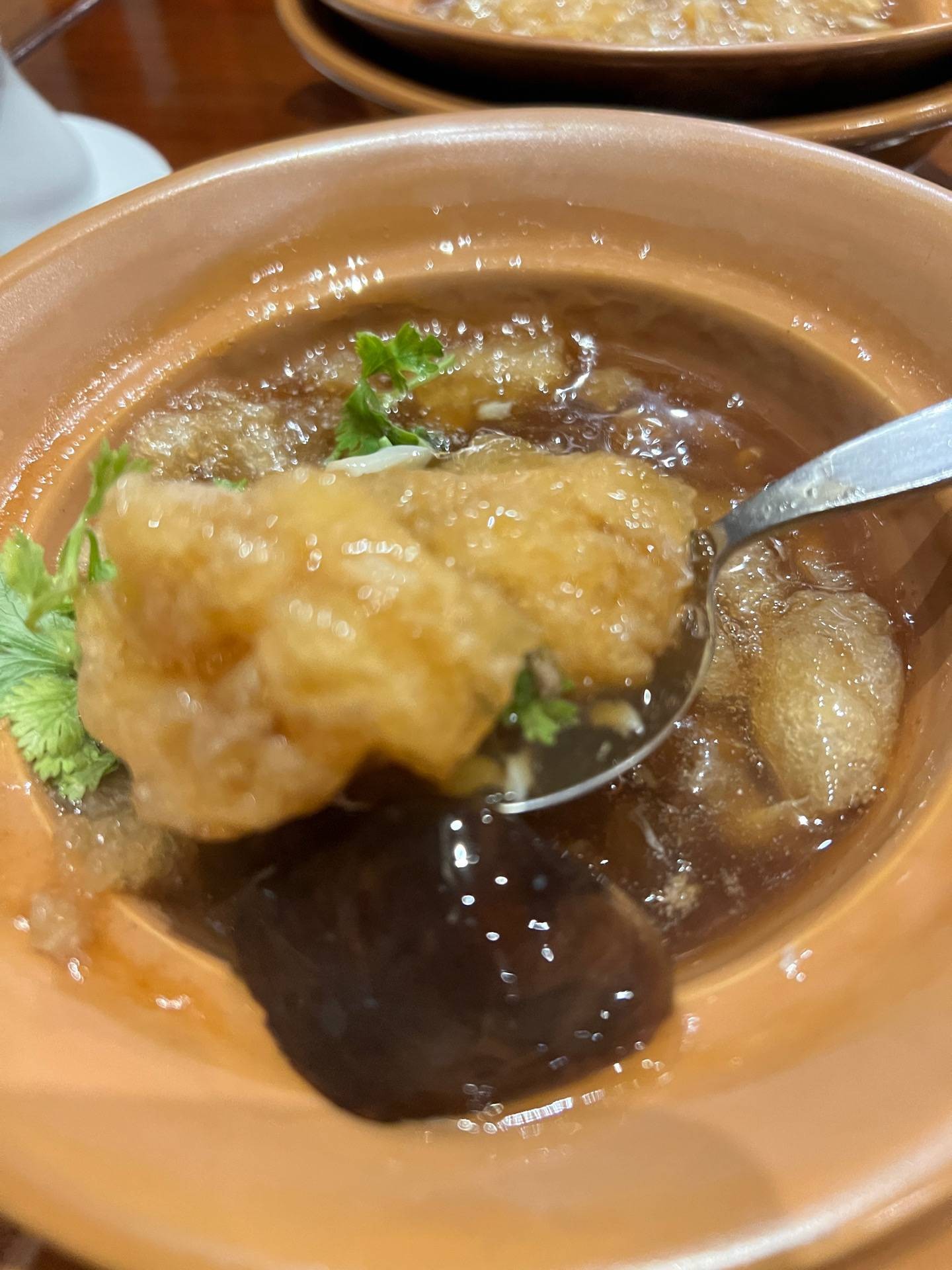 รูป หูฉลาม ไทยสกาล่า Thai Scala Shark's Fin. Siam Paragon