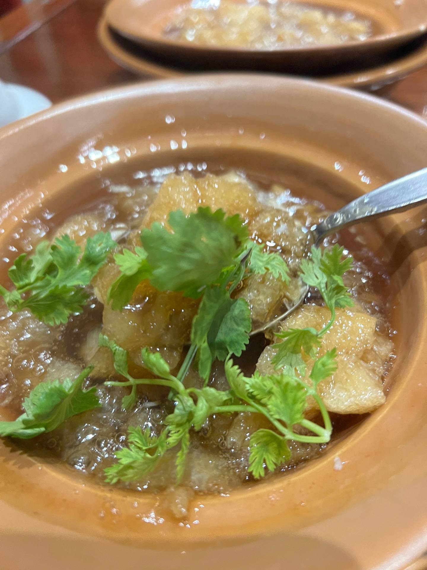 รูป หูฉลาม ไทยสกาล่า Thai Scala Shark's Fin. Siam Paragon