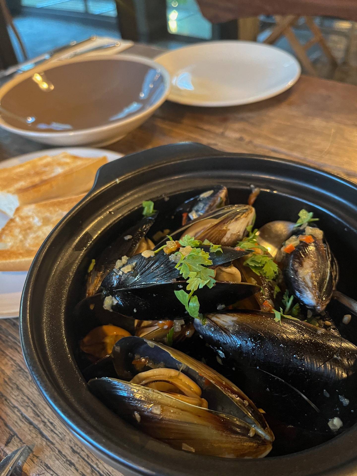 Fresh Live Australian Mussels ร้าน Kai New Zealand