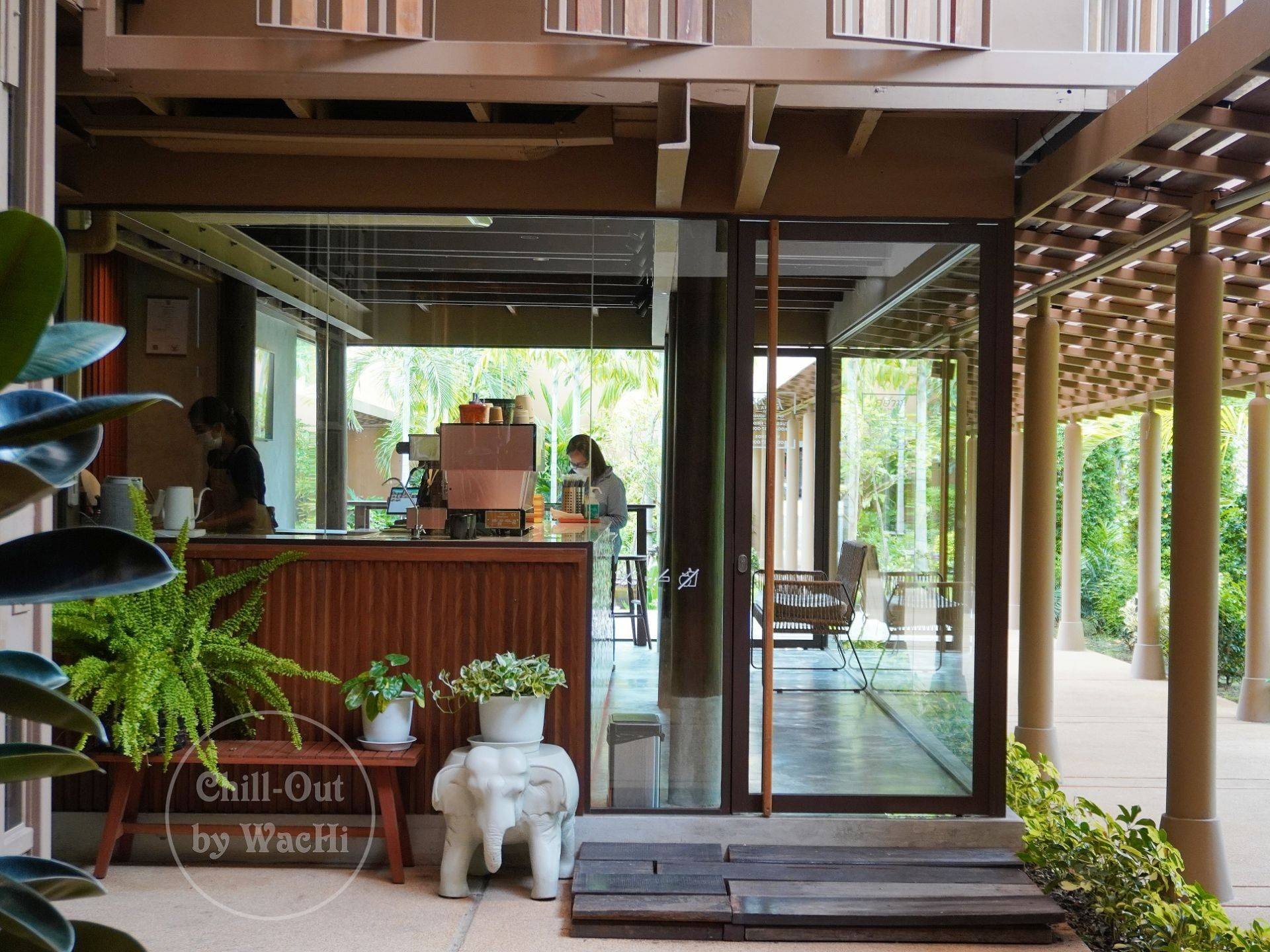 รูป Syama Ayudhya