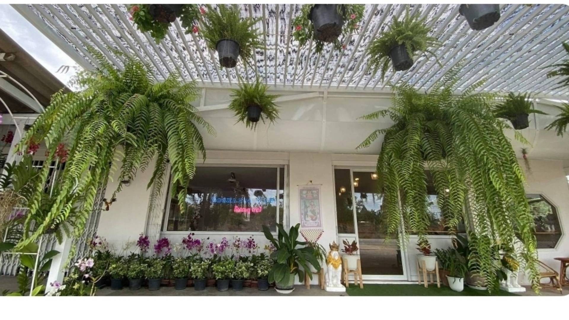 ร้าน Cockatoo cafe นครปฐม | รีวิวร้านอาหาร - Wongnai