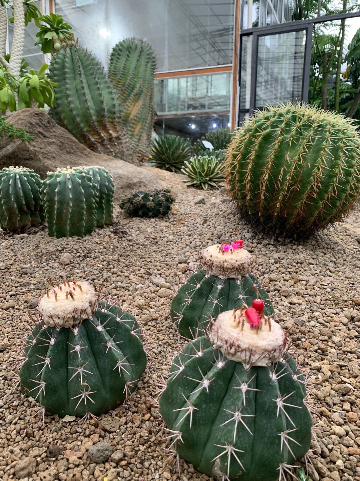 รูป Botanist activity space & cafe