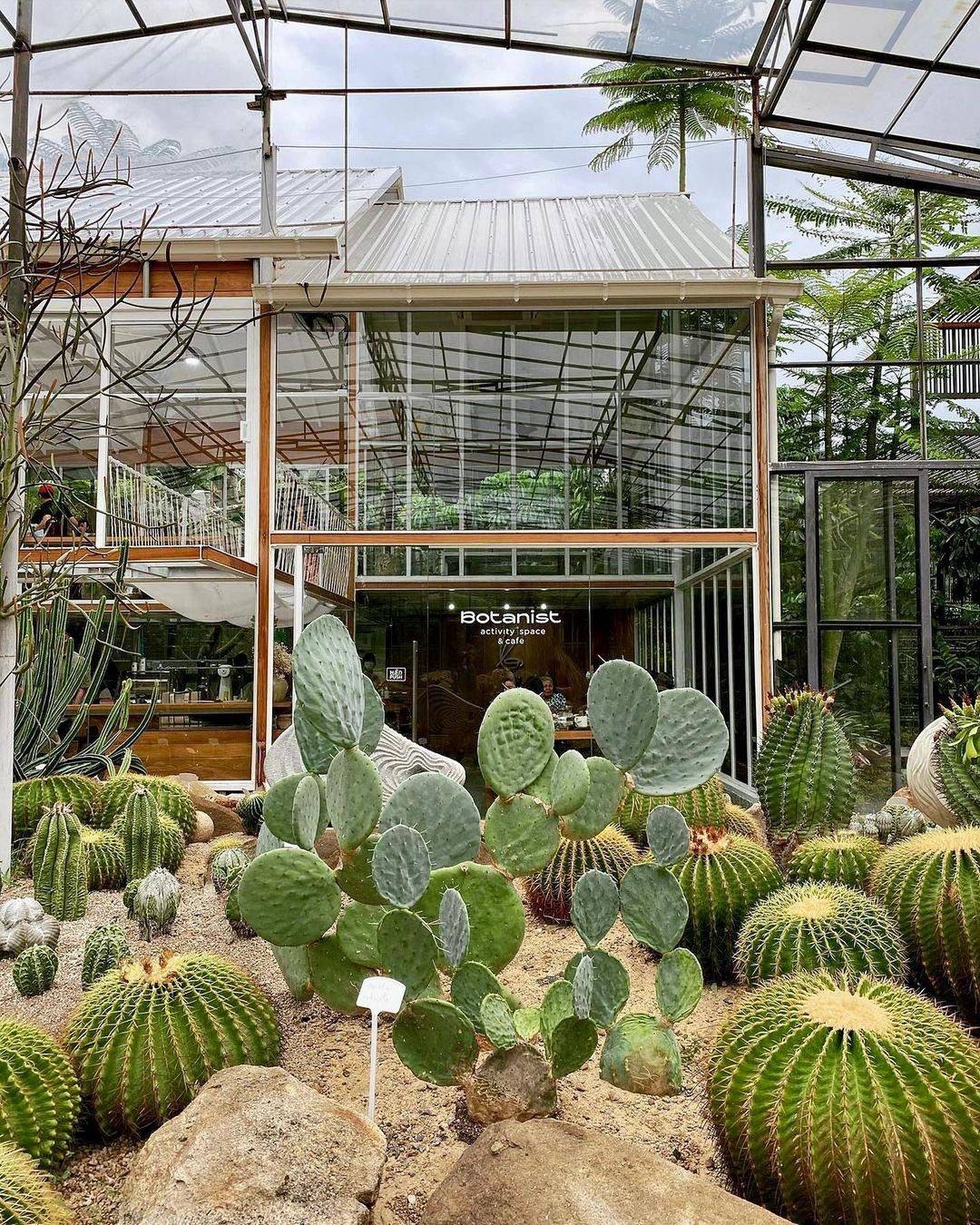 รูป Botanist activity space & cafe