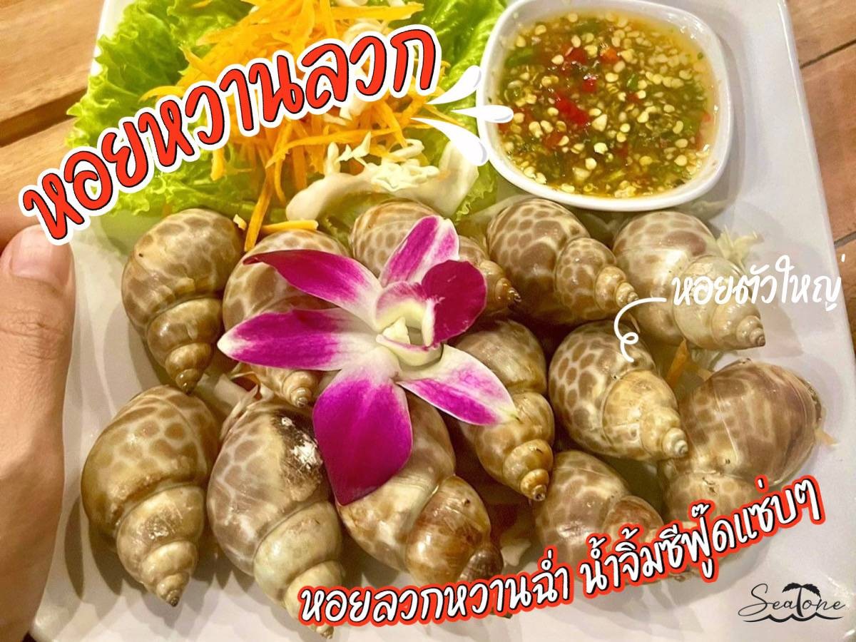 ร้าน SEA-TONE Cafe ซีโทน นครพนม | รีวิวร้านอาหาร - Wongnai