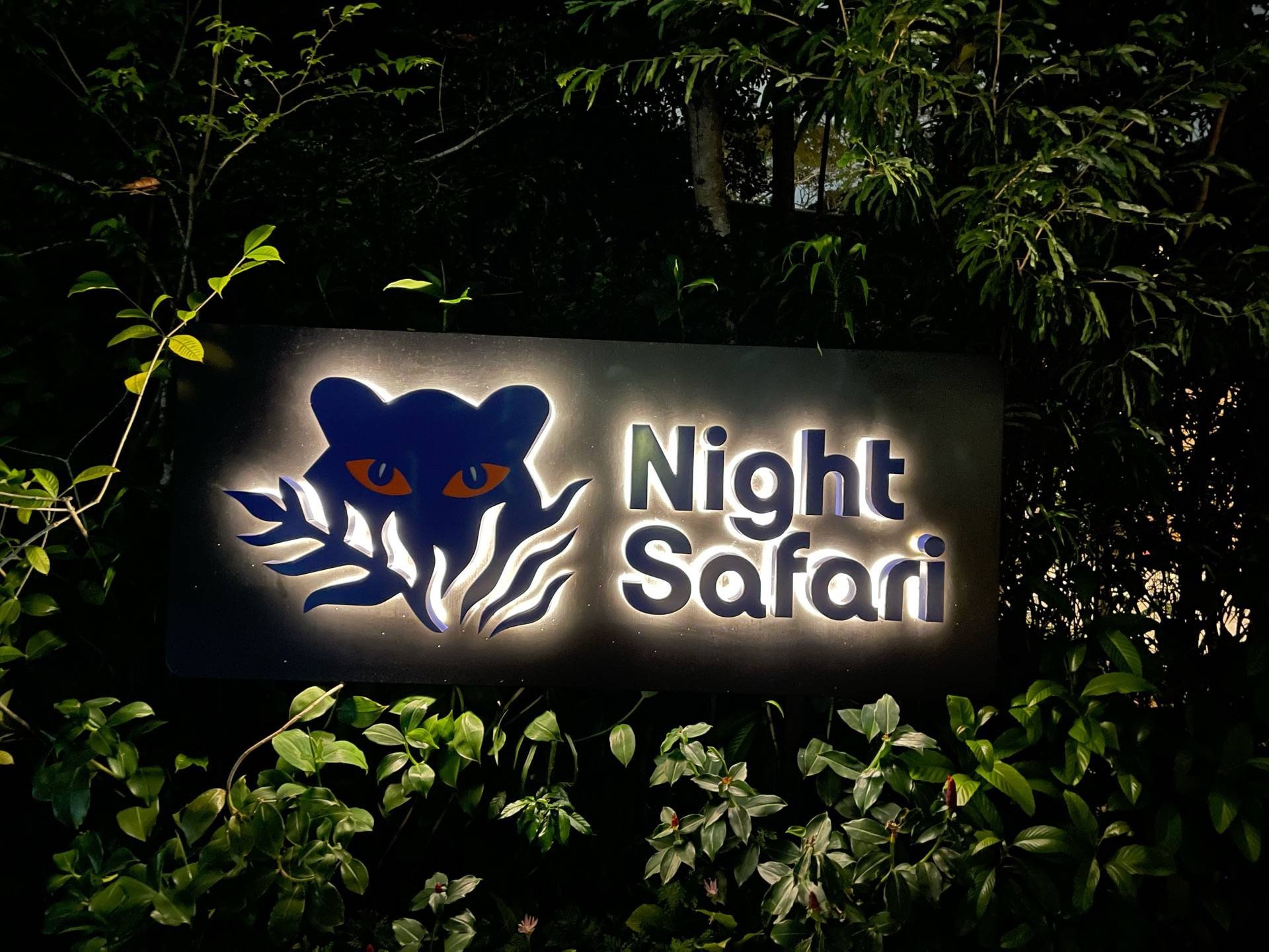 Singapore Night Safari - รีวิวสถานที่ท่องเที่ยว