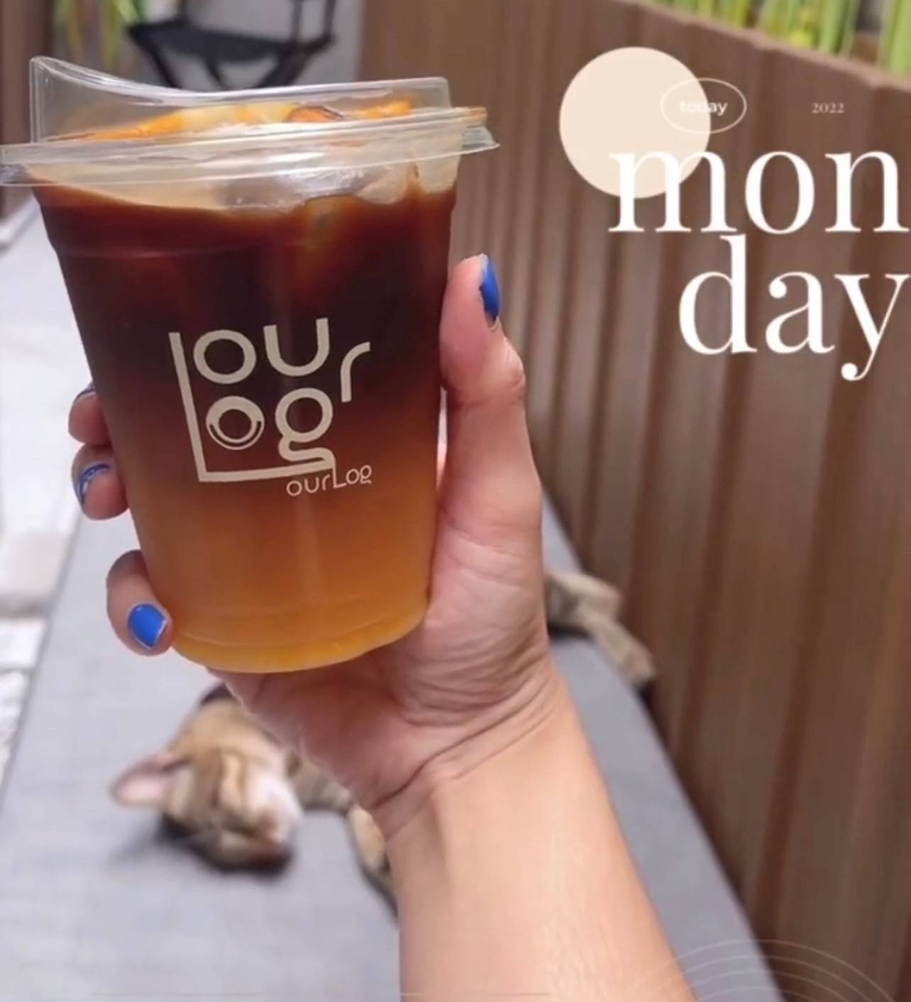 รีวิว Ourlog.bkk โพธิ์นิมิตร - กาแฟอร่อยมว๊าก รู้เลยว่าทางร้านใช้น้ำส้มสด และร้านตกแต่งดีมาก แสง ...