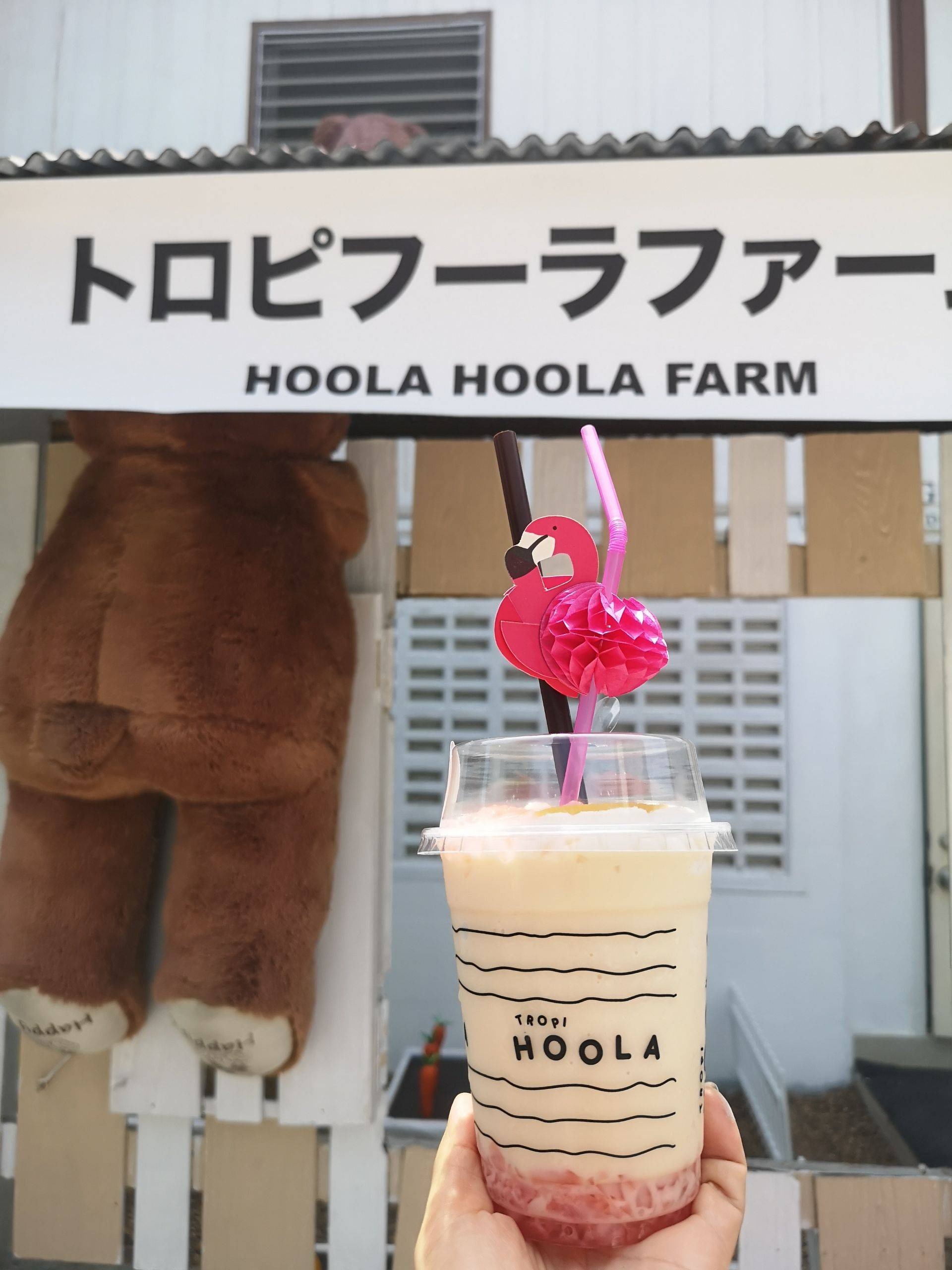 รีวิว Hoola and Ring Ring Cafe - วาร์ปมาญี่ปุ่นจัดเครื่องดื่มยาคูลย์ซ่าๆ