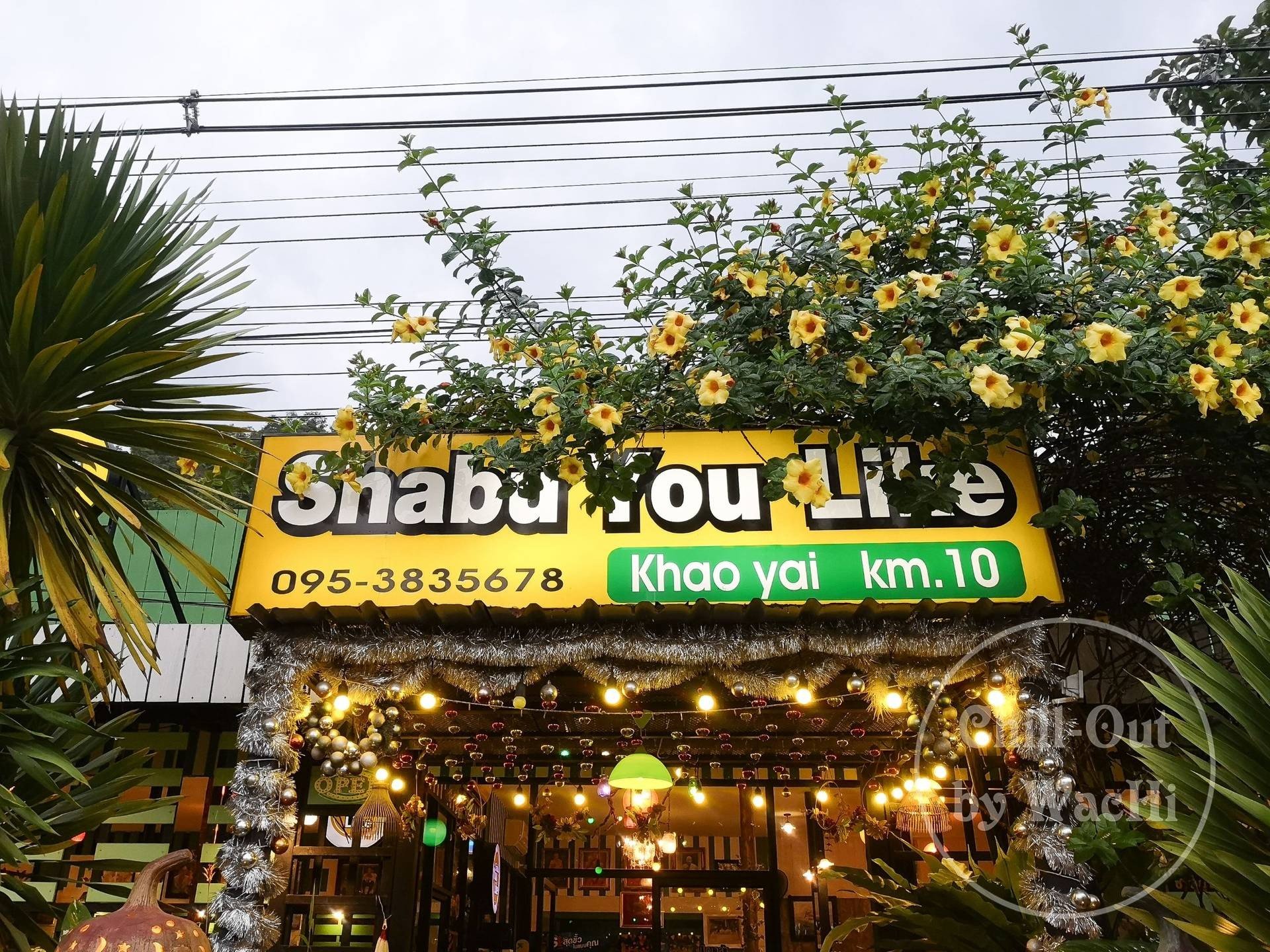 รีวิว Shabu you like ปากช่อง - ชาบูบุฟเฟ่ต์ ไม่จำกัดเวลา