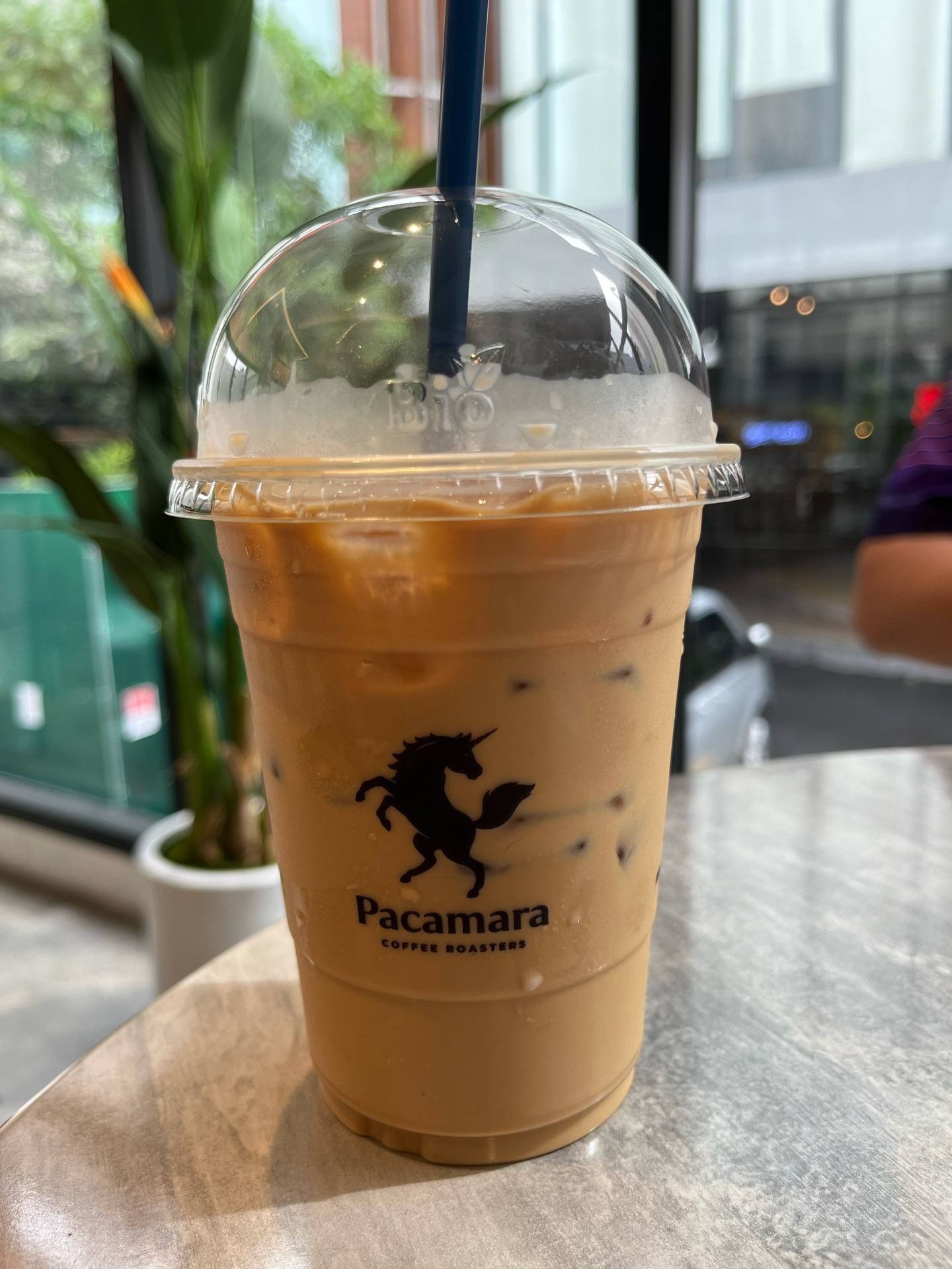 รีวิว PACAMARA มาเก็ตเพลส นางลิ้นจี่ - Paramara ใน market place - Wongnai