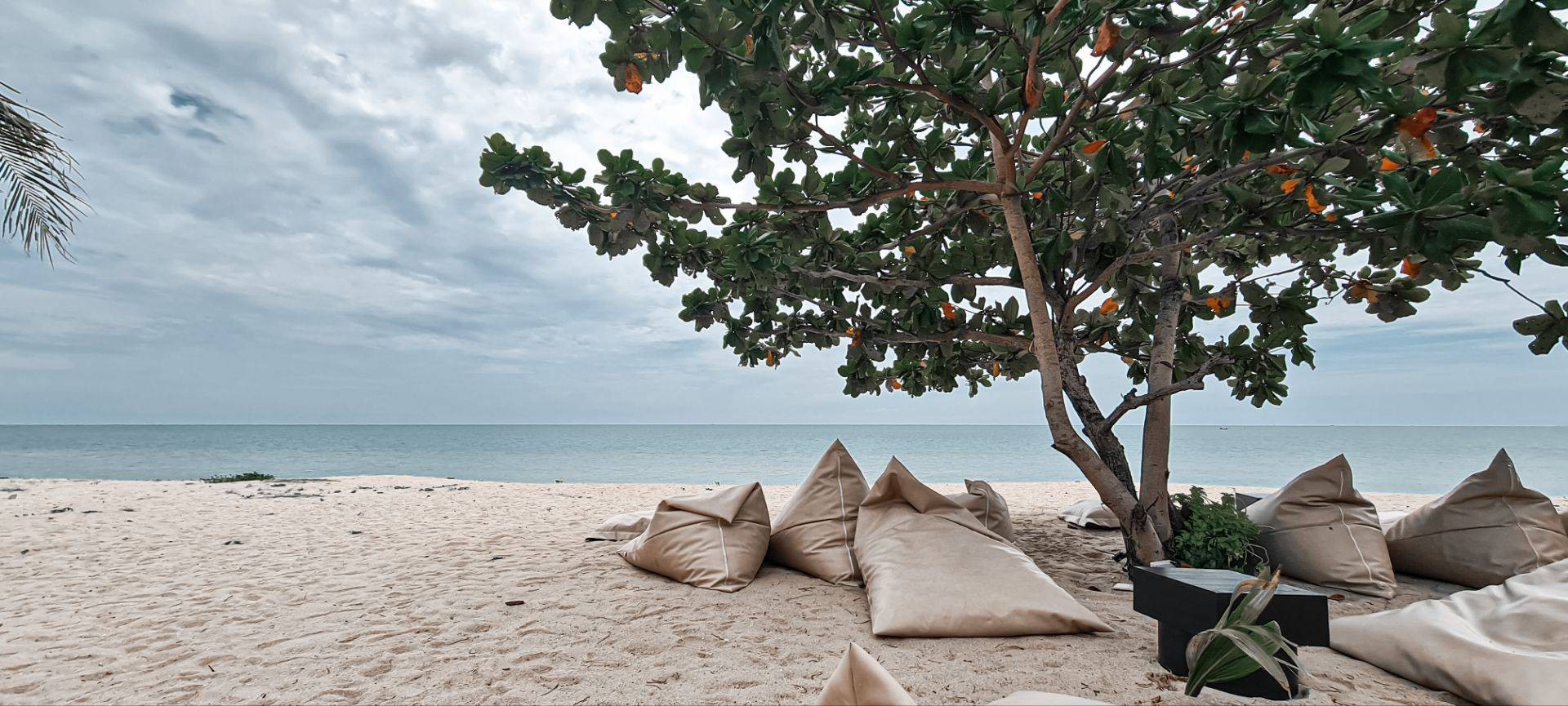 รูป Sea Circle Cafe’@Sichon