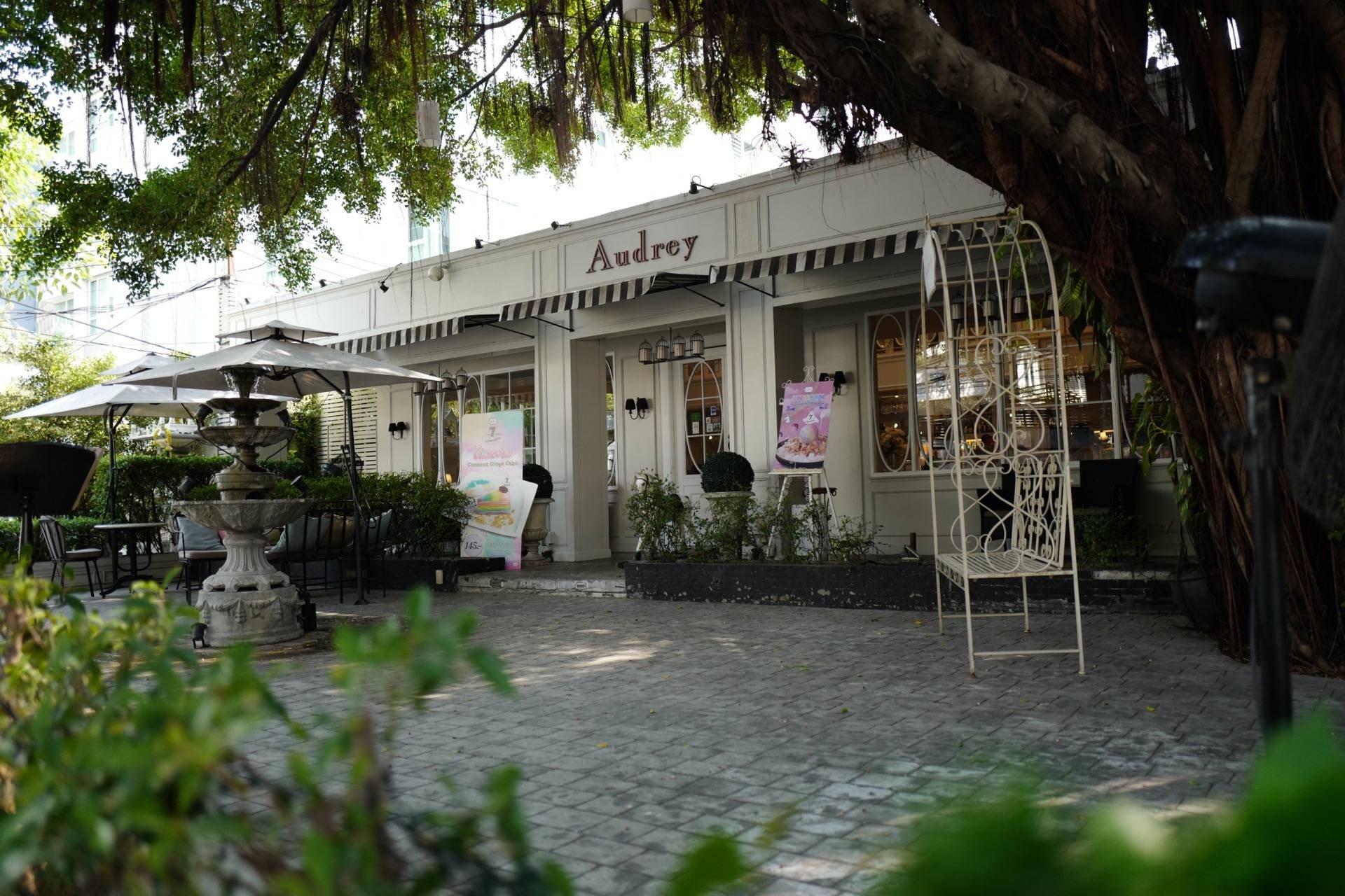 รีวิว Audrey Cafe ซอยทองหล่อ 11 - ขาหมูเต๋าอร่อยมากกกกกกก