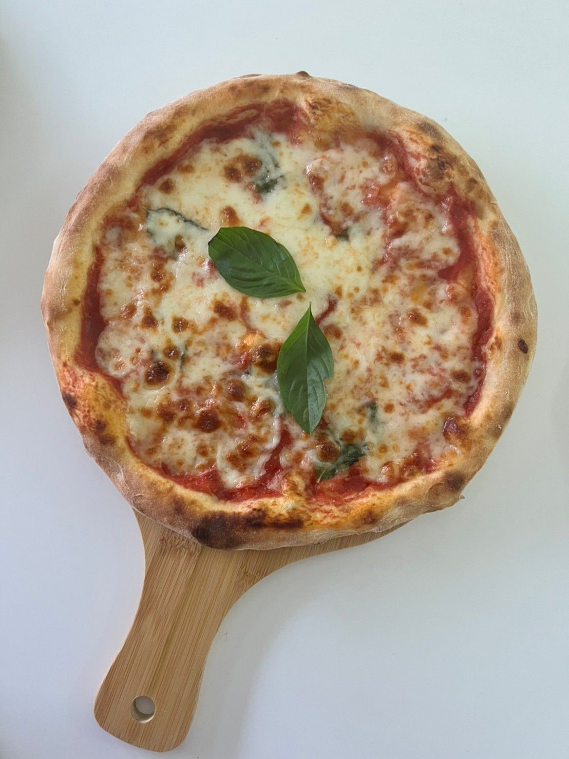 รูป พิซซ่า&กะเพรา ฮาลาล โฮมเมด (Southern Pizza) ประสานมิตร ซอย6