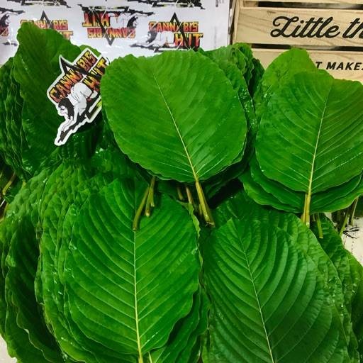 ร้าน Cannabis hut ใบกระท่อม น้ำสมุนไพรต้มสด | รีวิวร้านอาหาร