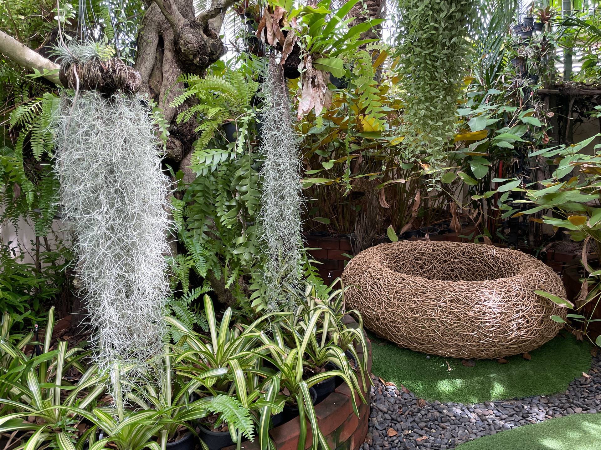 รูป มั่งมี Mang Mee Cafe And Restaurant