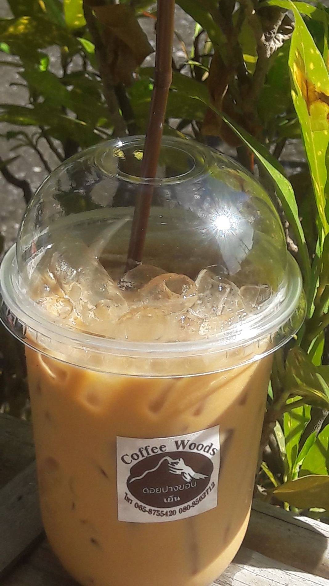 ร้าน Coffee Woods | รีวิวร้านอาหาร