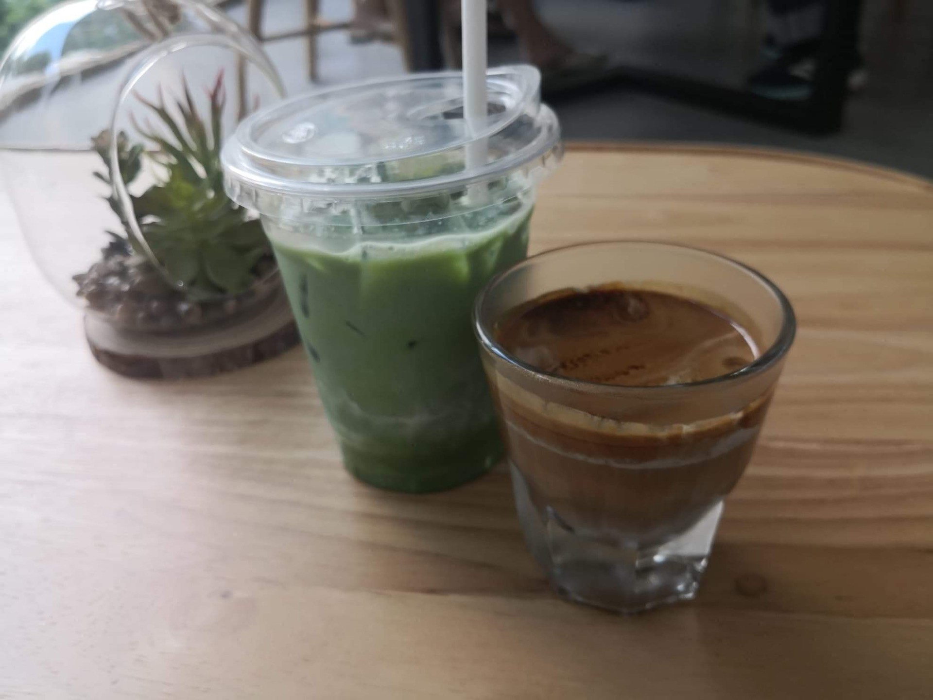 รีวิว RISU CAFE เอกมัย 12 - คาเฟ่กระรอกน้อยในสวนสวย