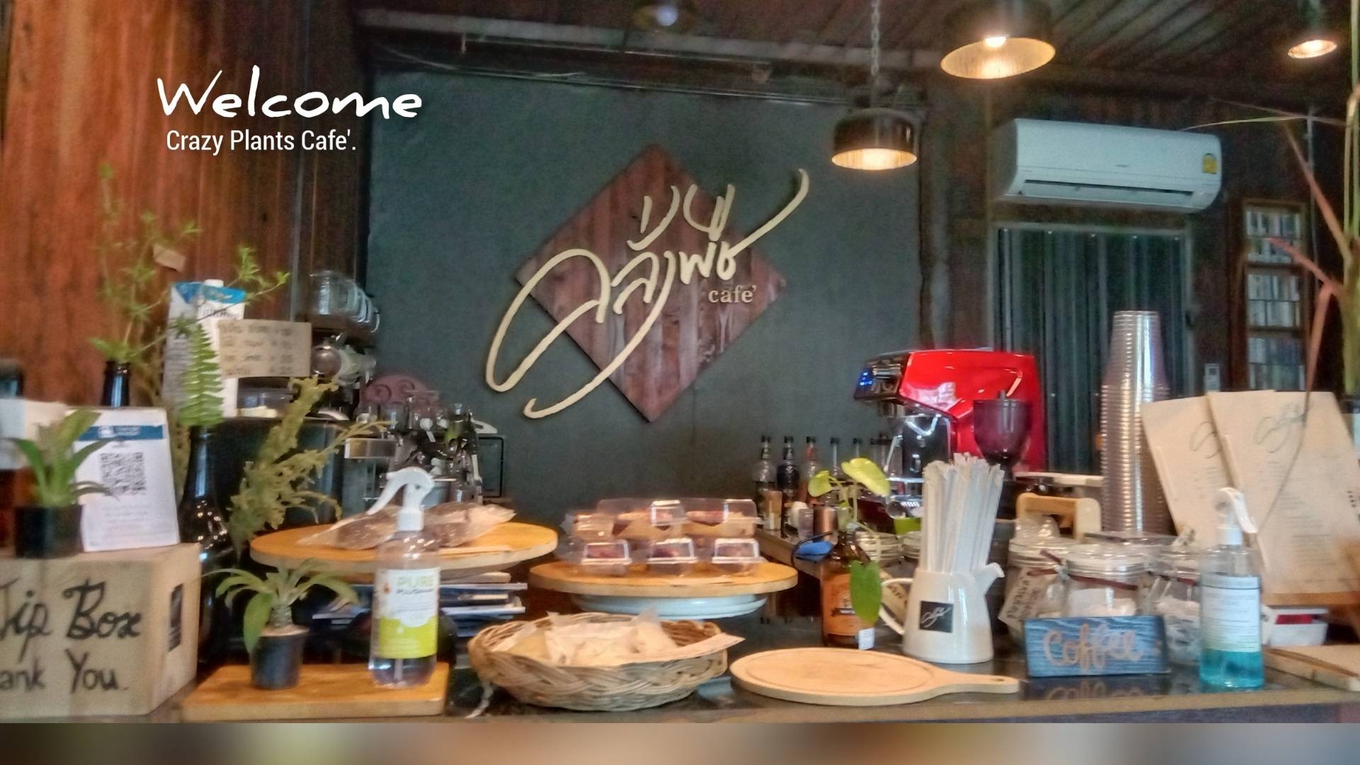 [รีวิว] ร้าน คลั่งพืชคาเฟ่ /Crazy Plants Cafe | เมนูแนะนำ รูปภาพ ราคา ...