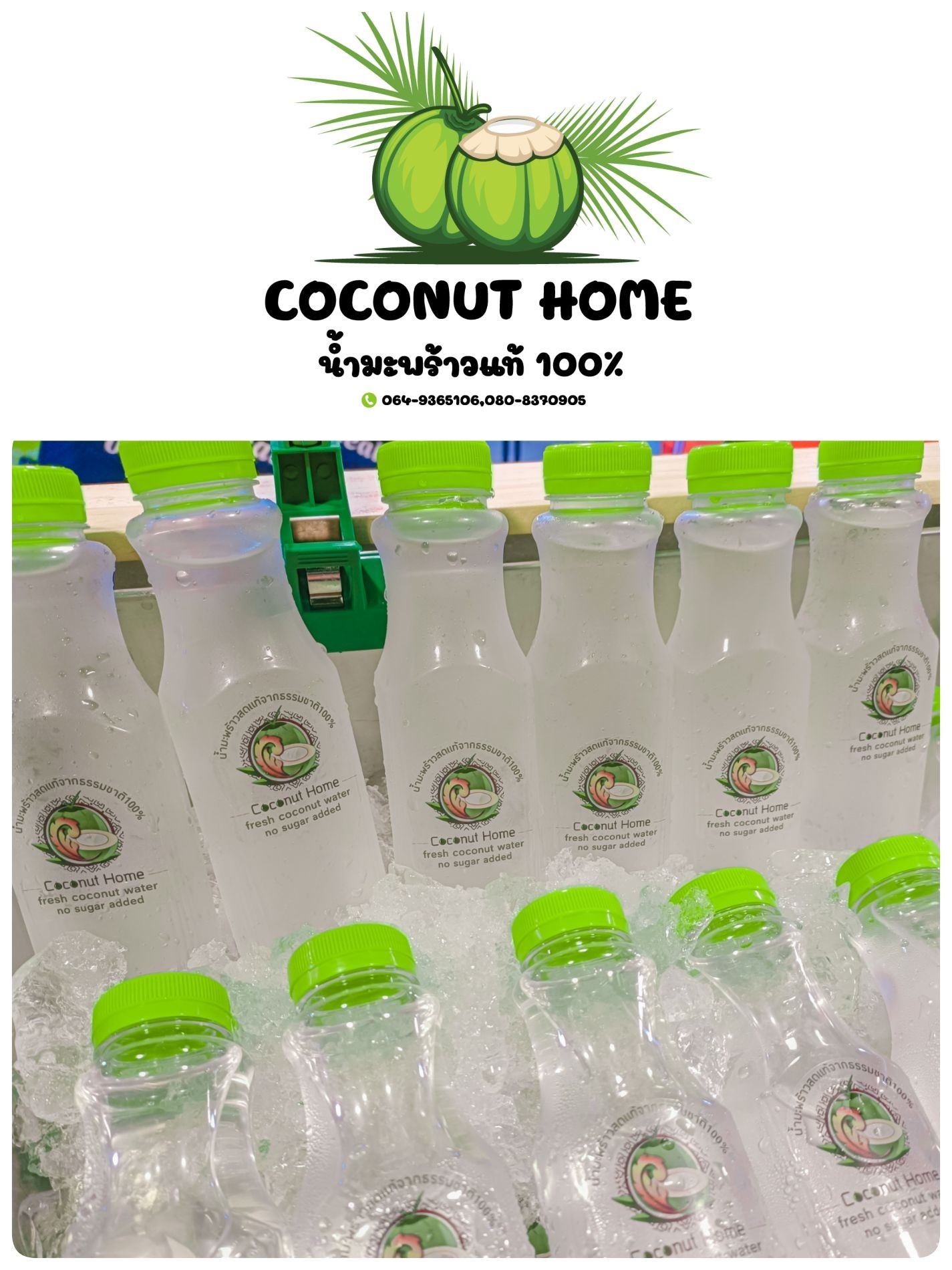 ร้าน coconut home บ้านมะพร้าว & ข้าวเหนียวมะม่วง ตามงาน | รีวิวร้านอาหาร