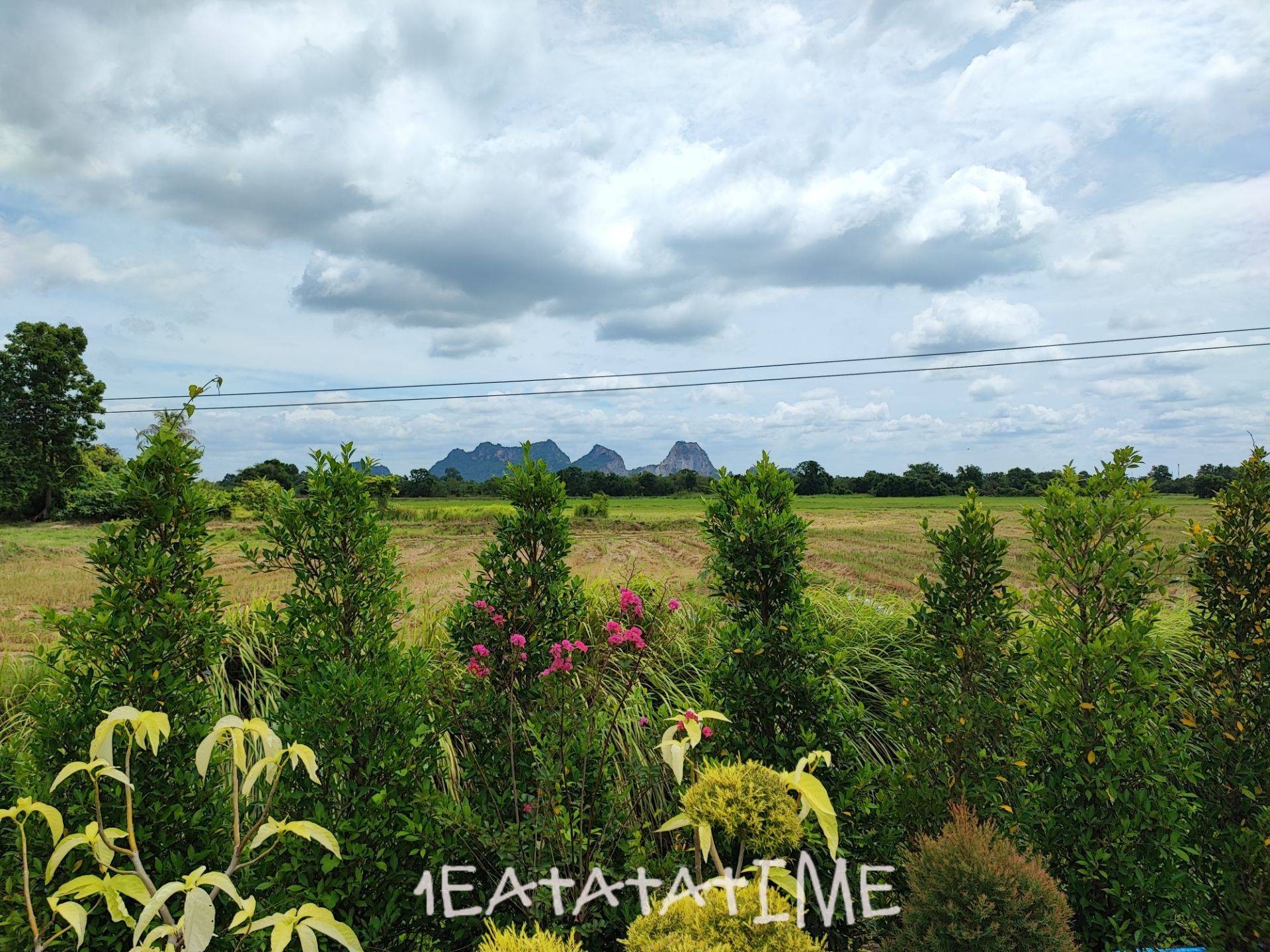 รูป 8088 Coffee & Cafe’ ราชบุรี