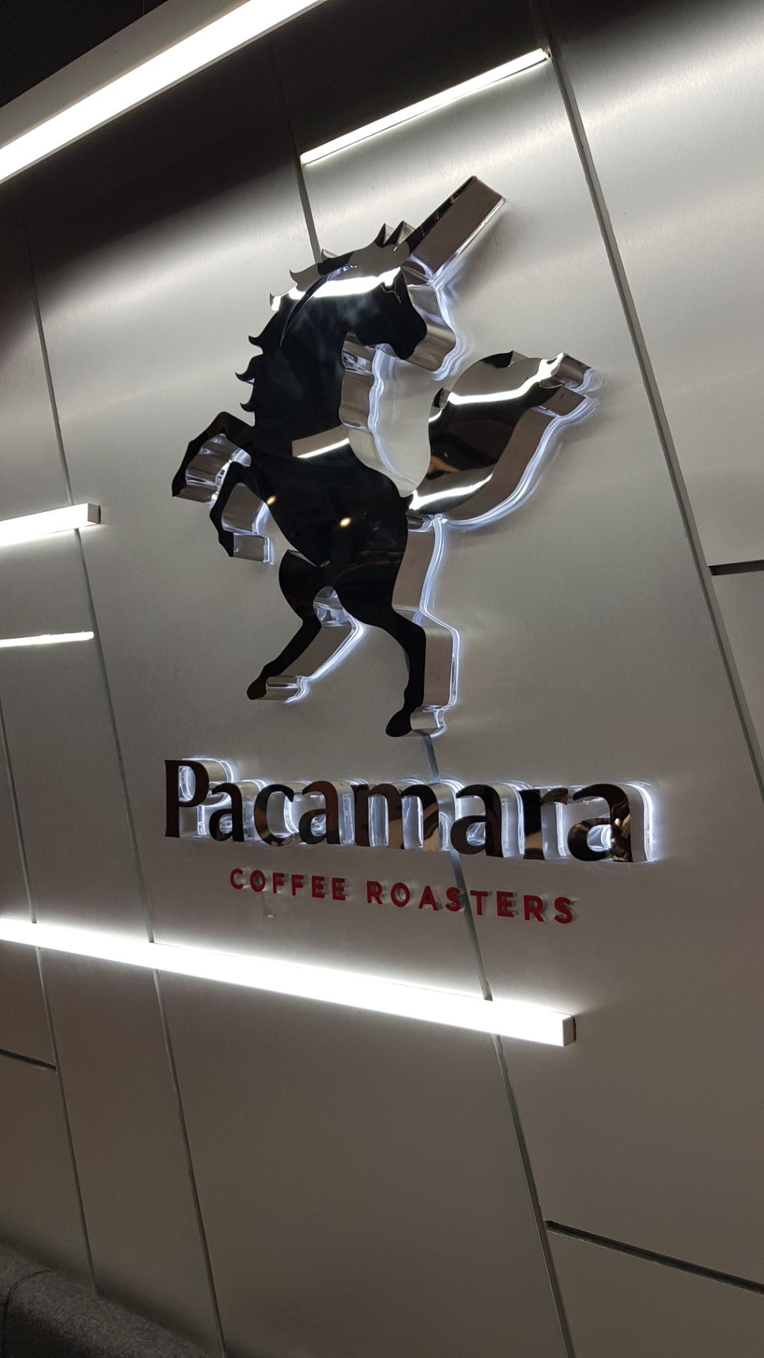 รีวิว PACAMARA สีลมเอจ - จับคู่อร่อย ดูฝนตก