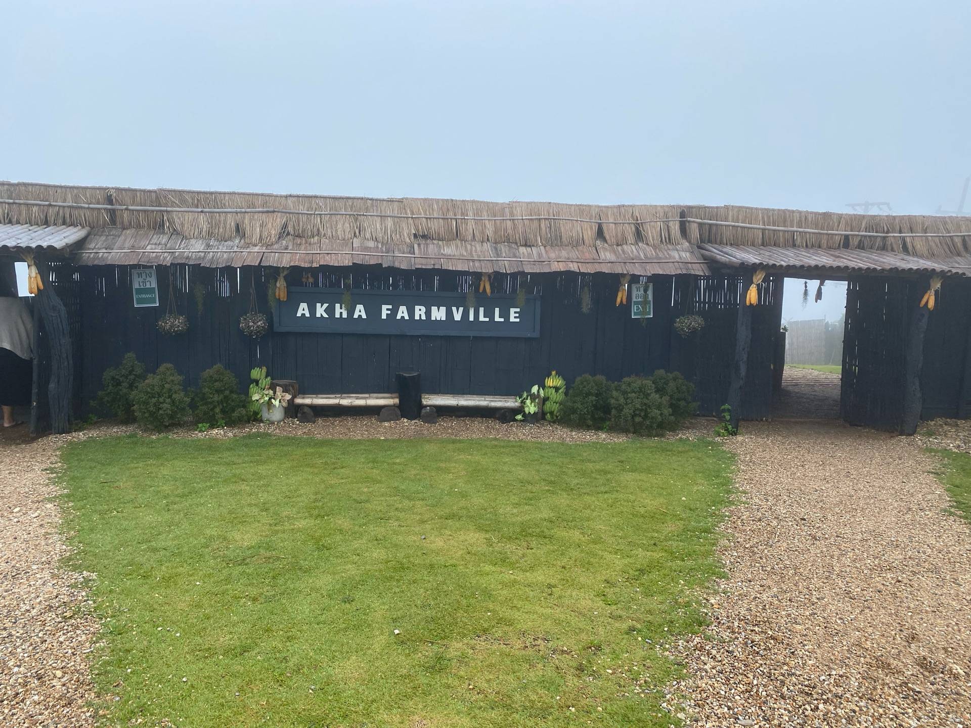 รีวิว Akha Farmville - อยากถ่ายรูปกับน้องแกะ แต่ฝนตกหนัก