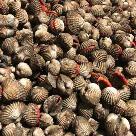 ร้าน รวมหอยซิ่ง ทะเลพร้อมทาน ตลาดเขาตะโล | รีวิวร้านอาหาร